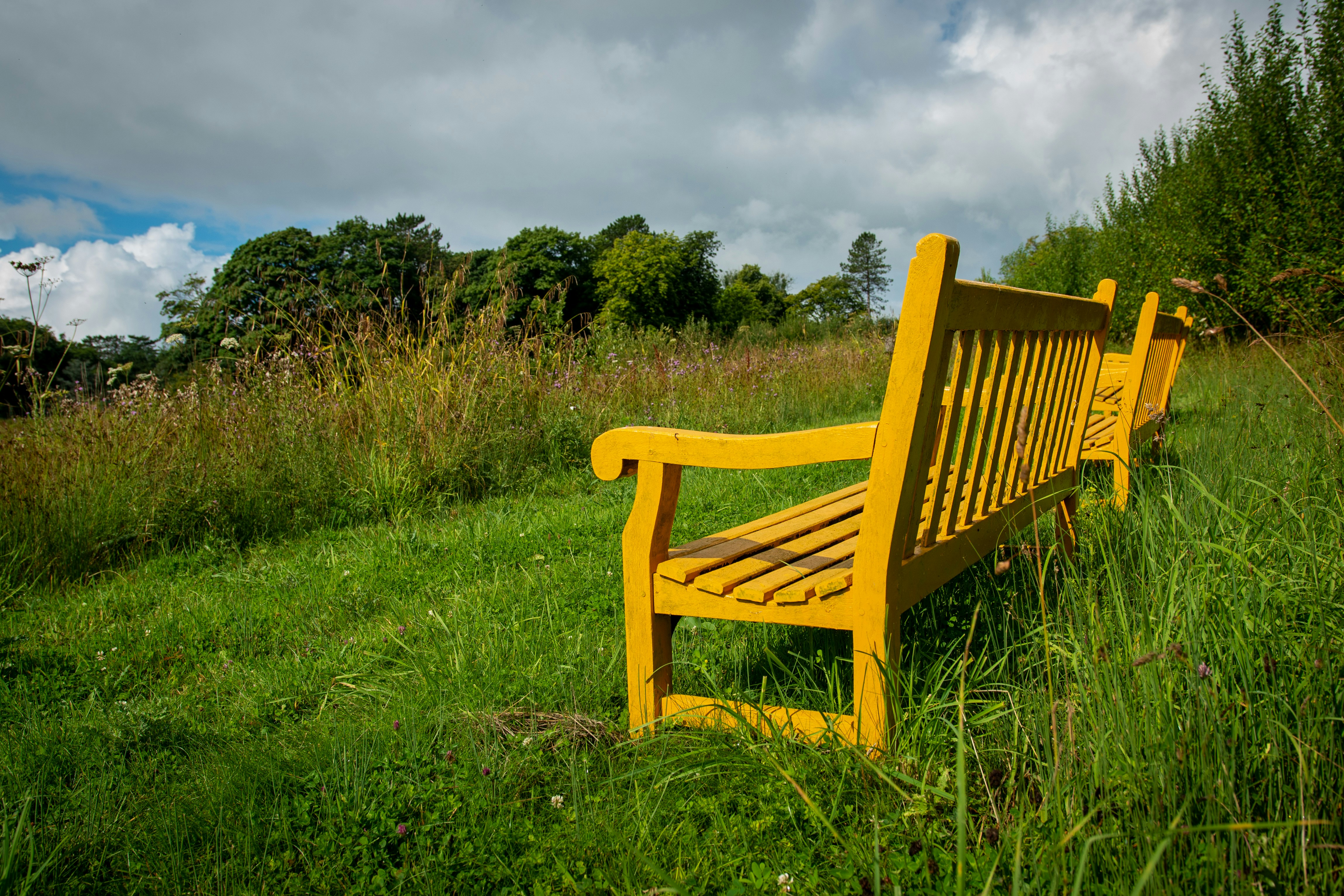 Yellow Bench Amid Tall Grass on a Lush Hill