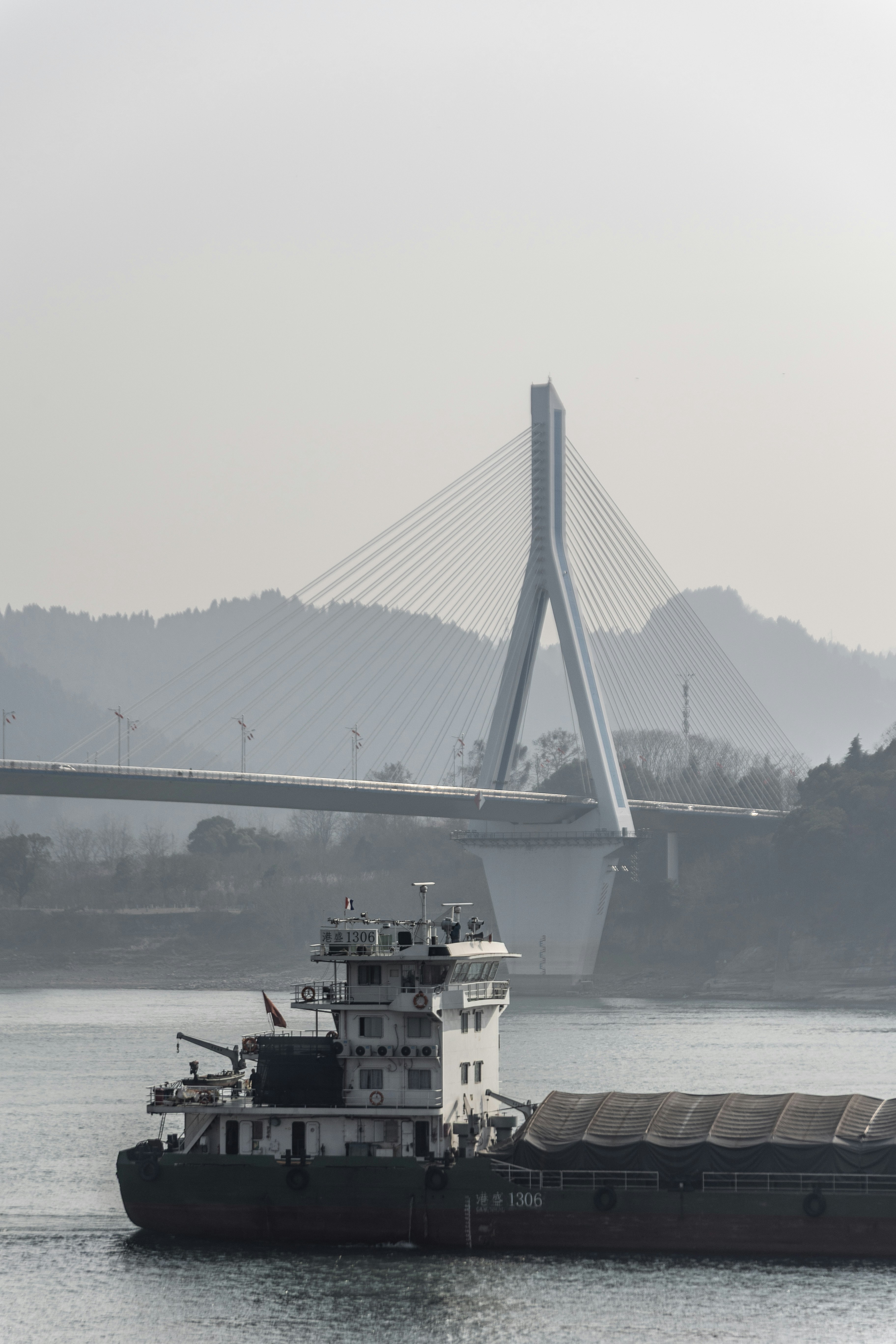 Cable-Structured Silhouette: Vessel and Bridge in Quiet Murk
