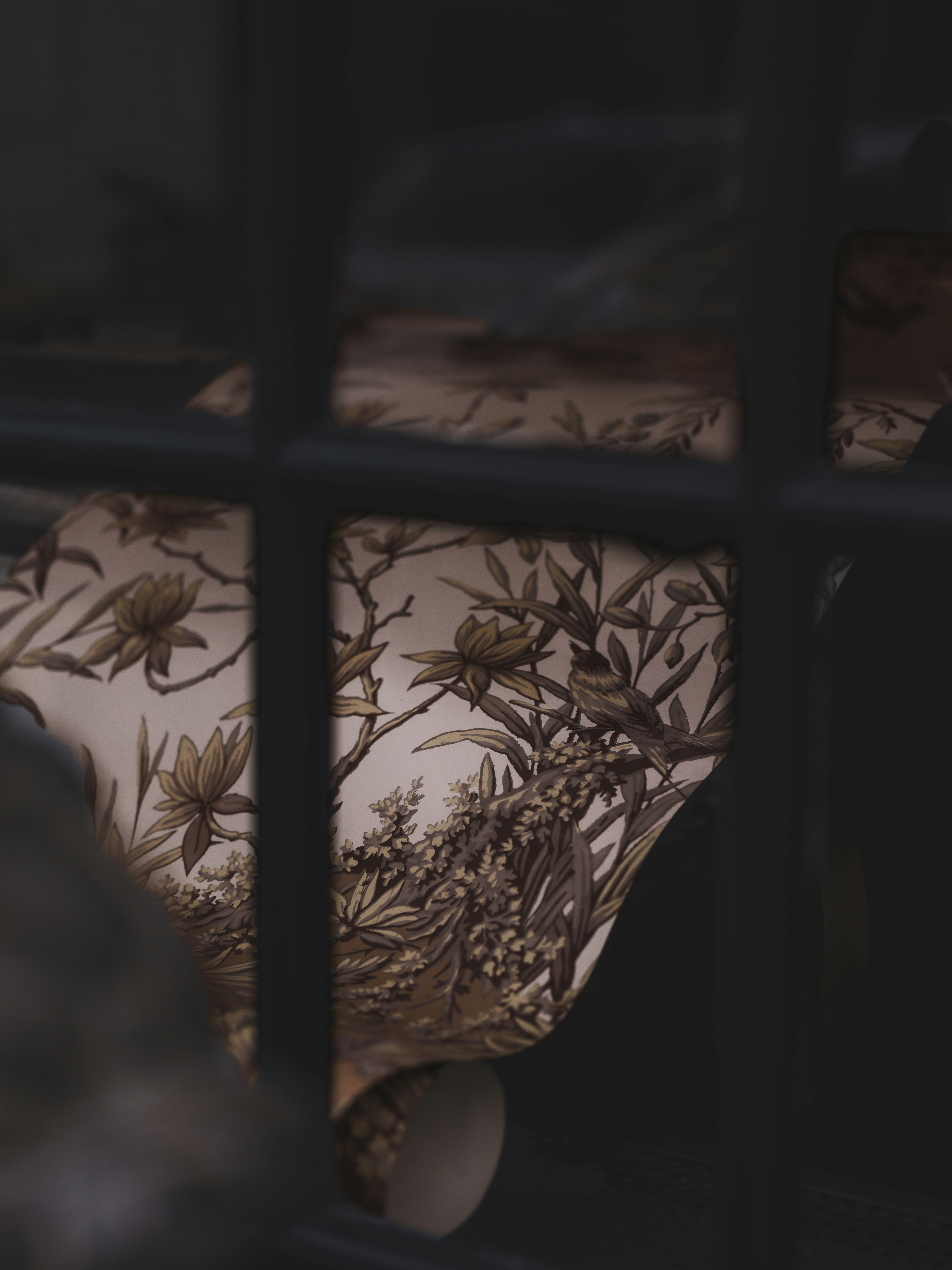 Whispered Patterns Through Iron Grilles