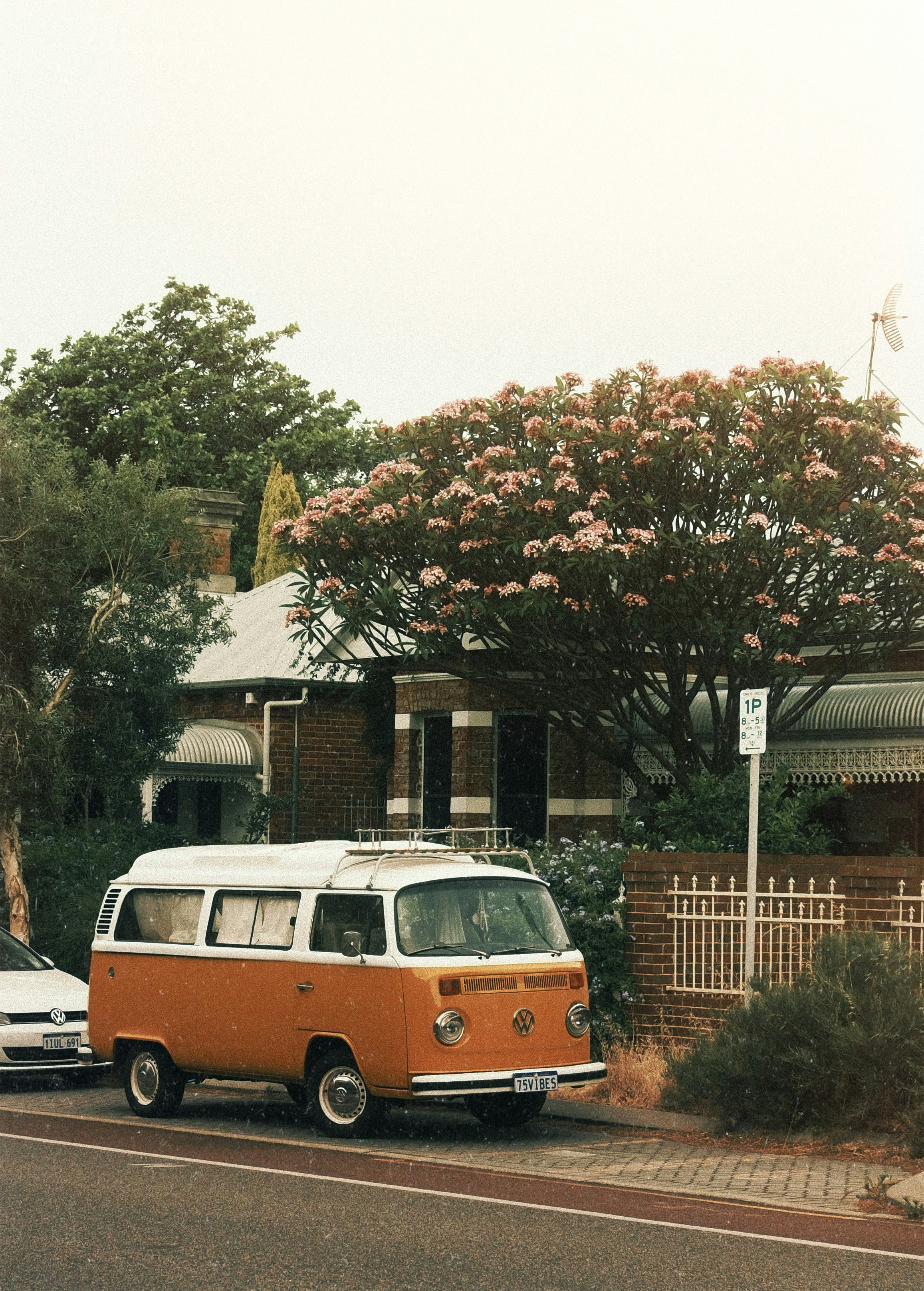 Orange VW Bus Quietly Guarded by Blush-Flowered Trees
