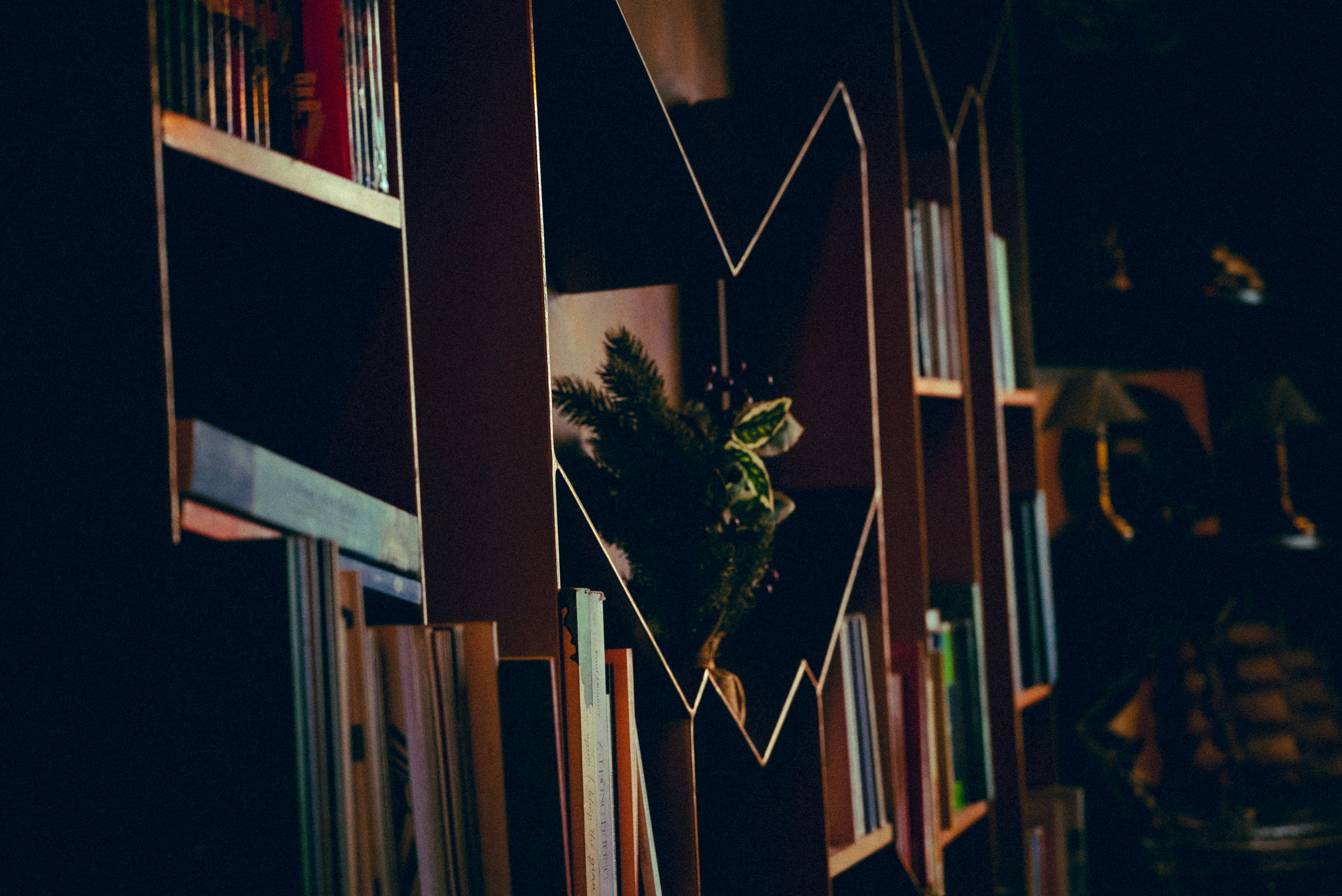 Shelf-lined study space with geometric string art and hanging ivy, creating a moody, intimate atmosphere.