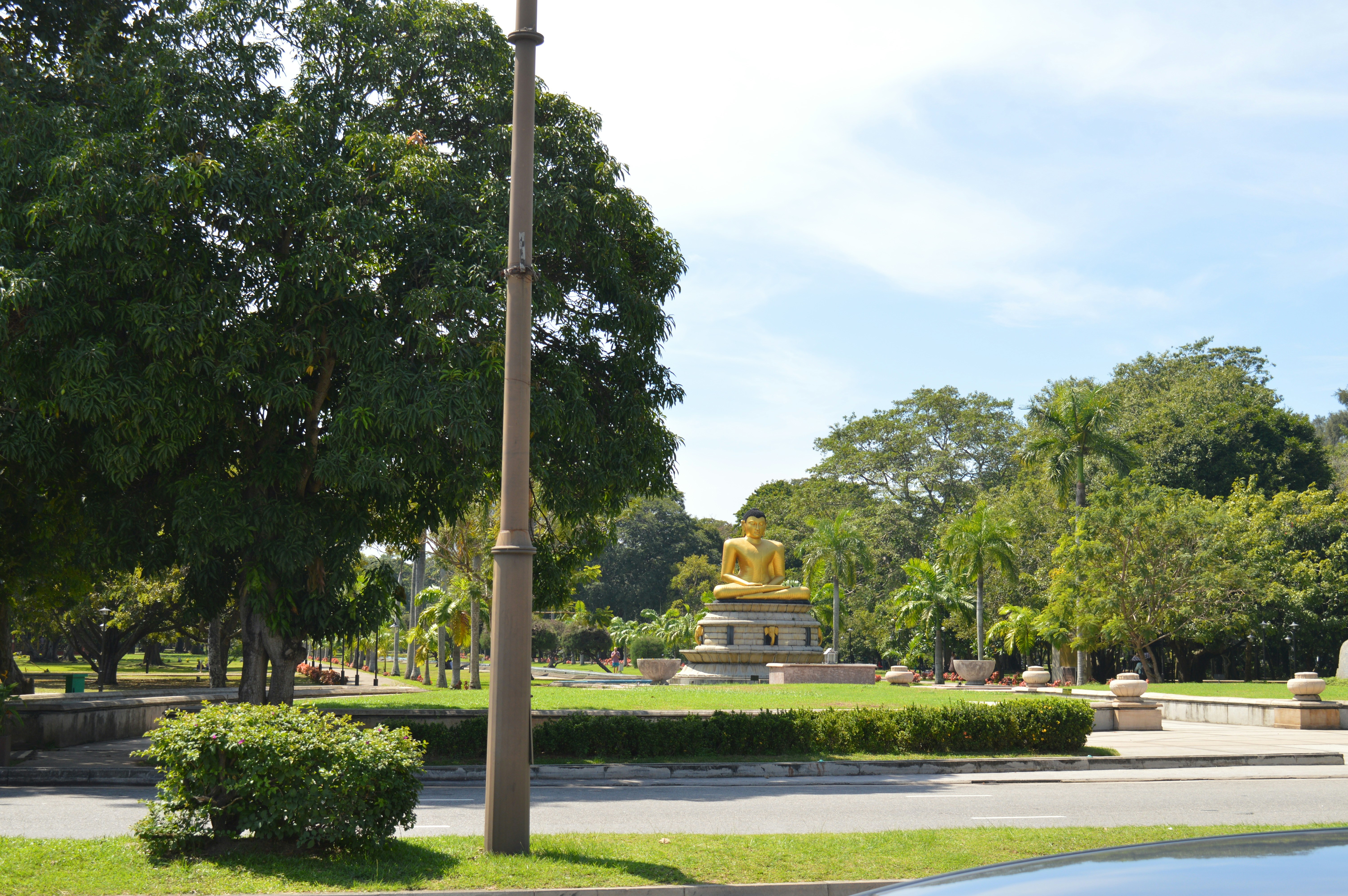 Golden Buddha in a Quiet City Park