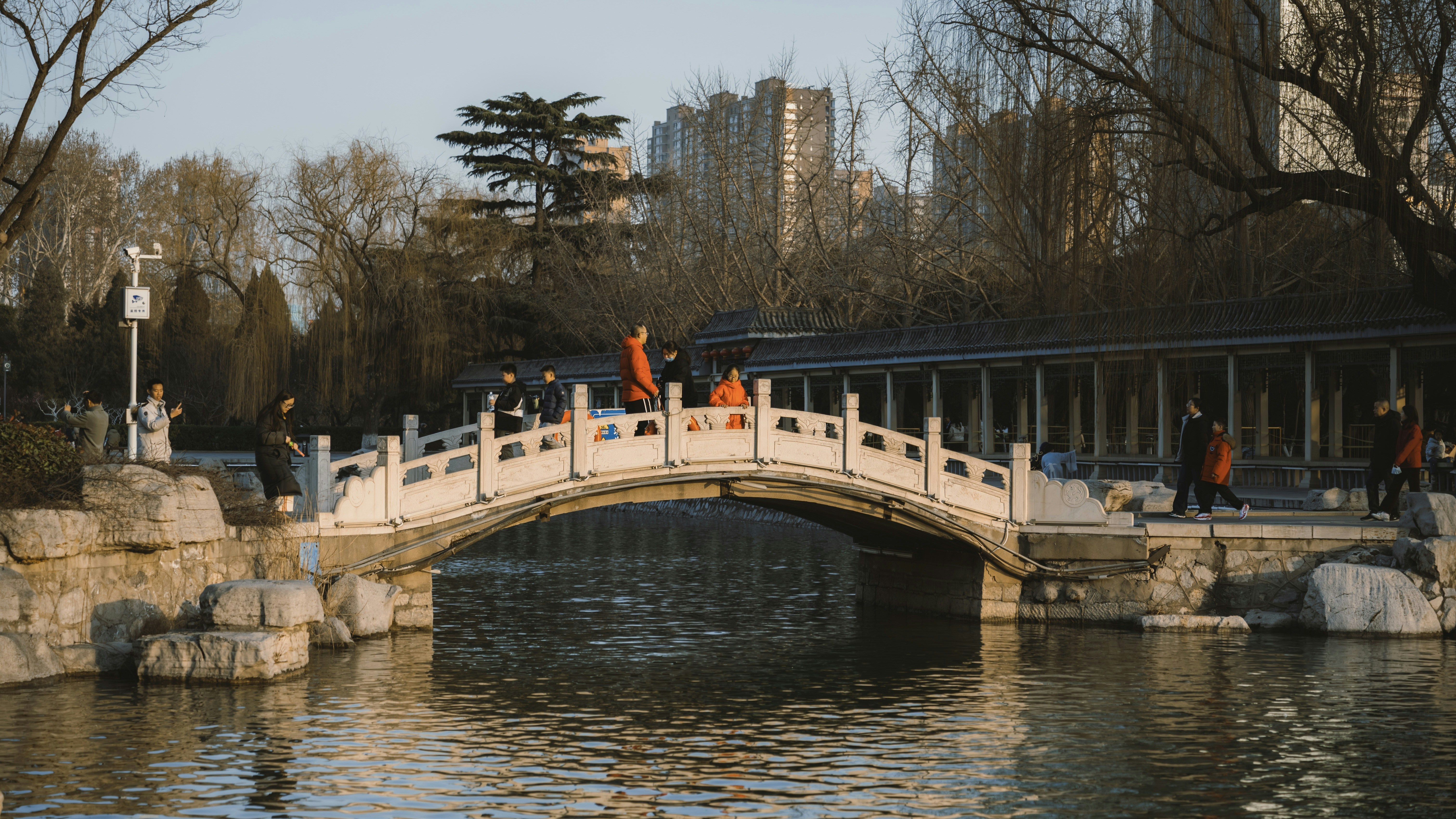 Bridge Arc and Cityscape: Quiet Moments on a Park Lake