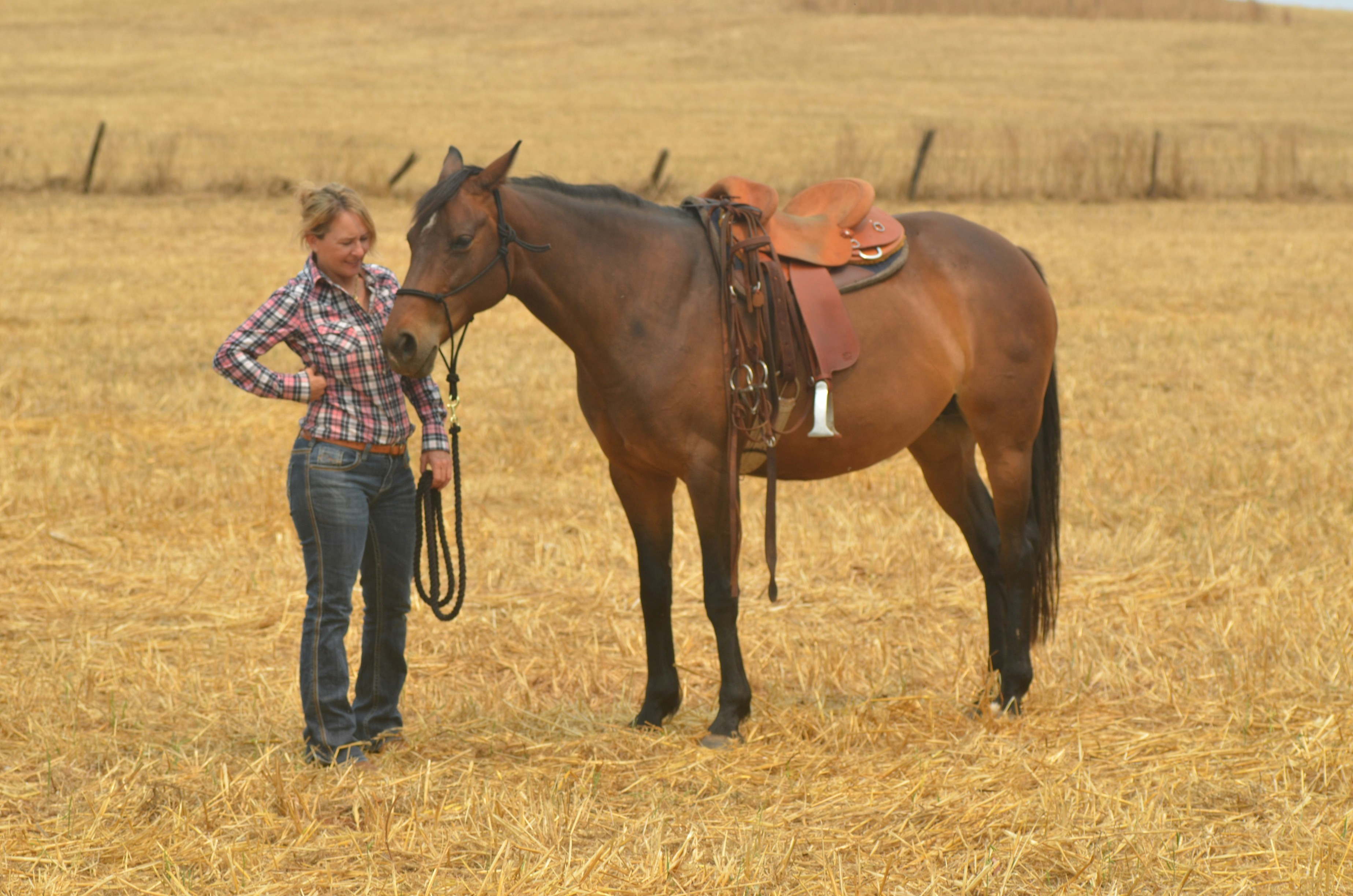 Rider and Horse in Golden Field