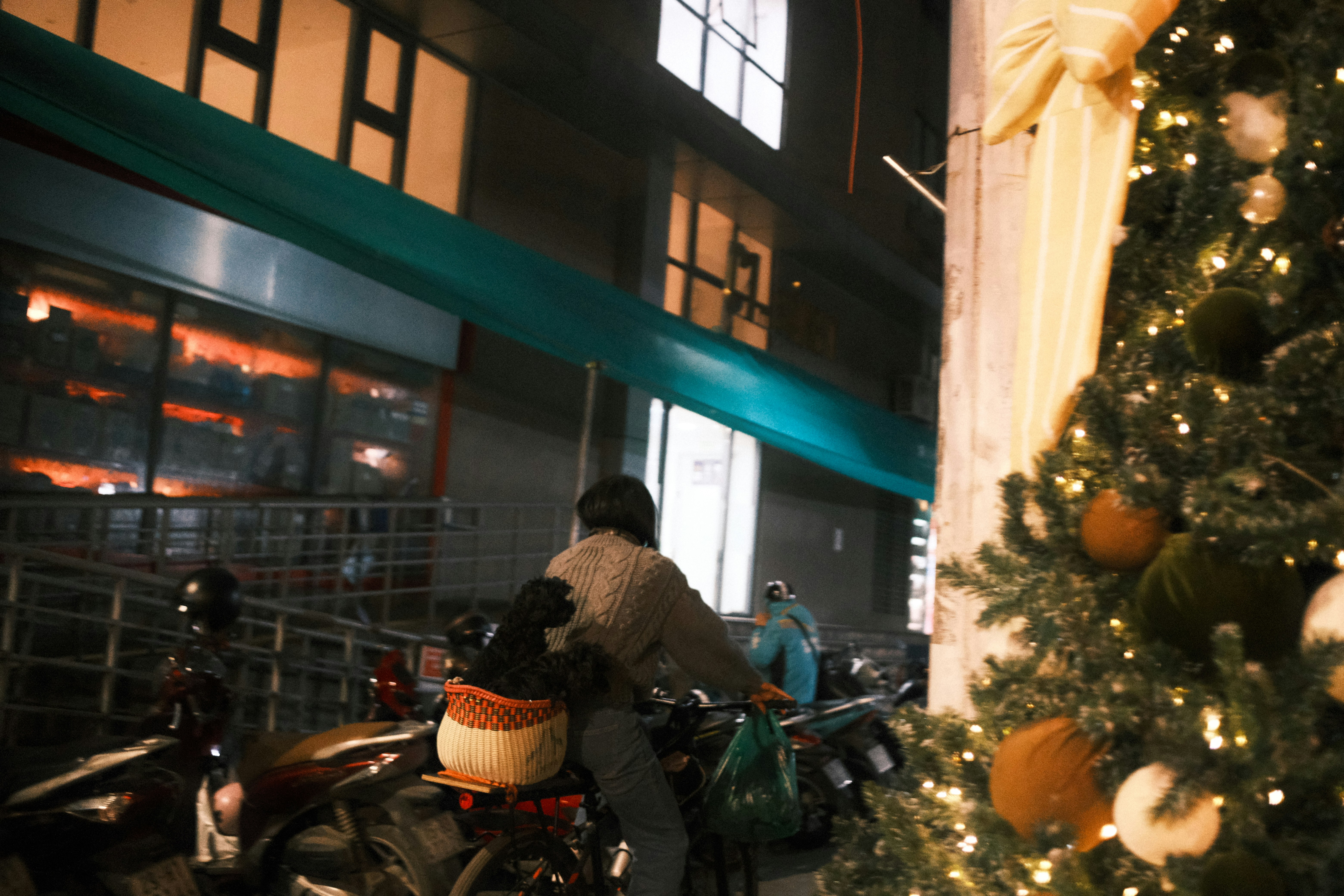 Night Ride by the Christmas Tree
