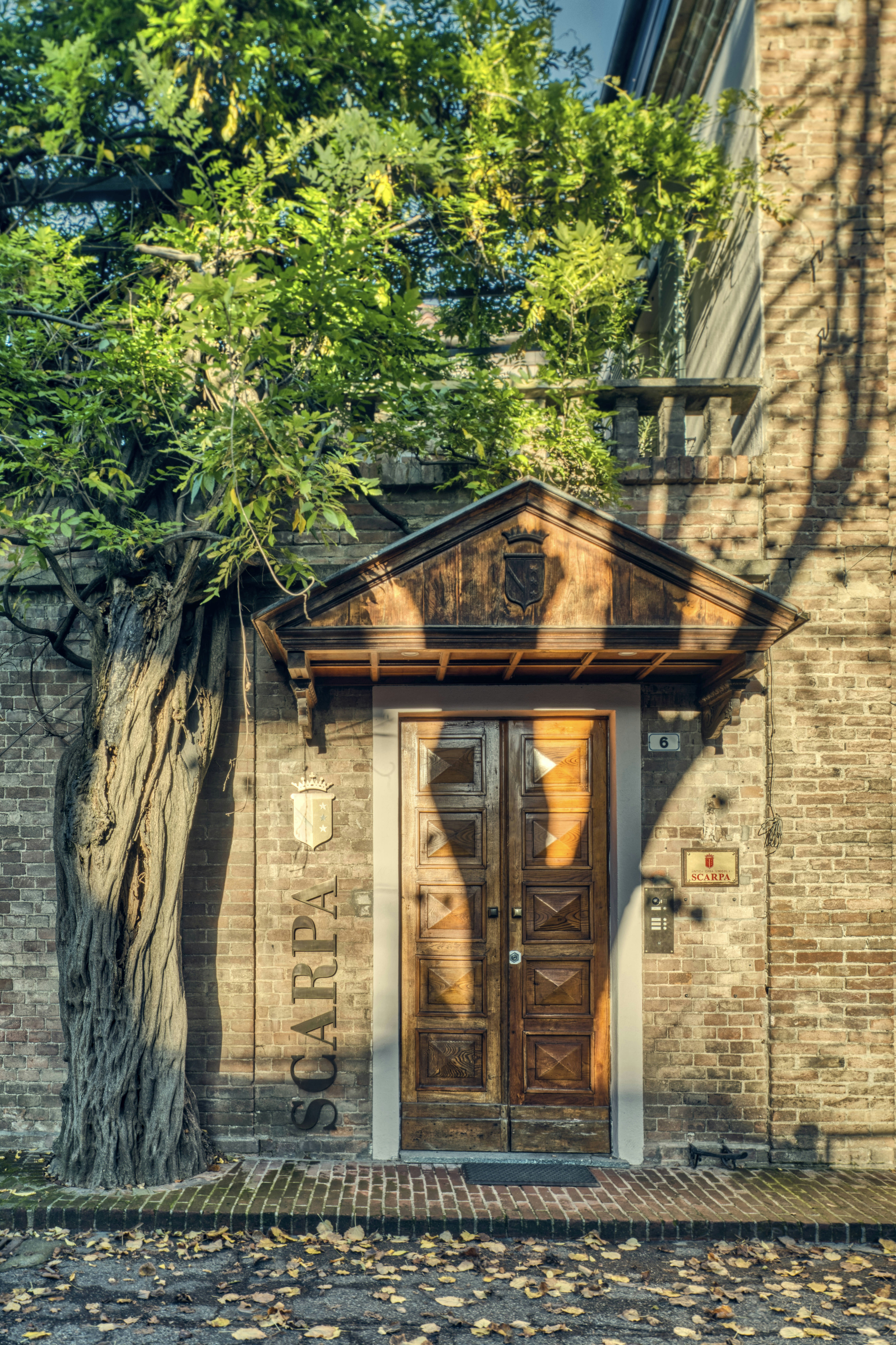 Weathered doorway under dappled shade of a sprawling fig, framed by brick and leaf