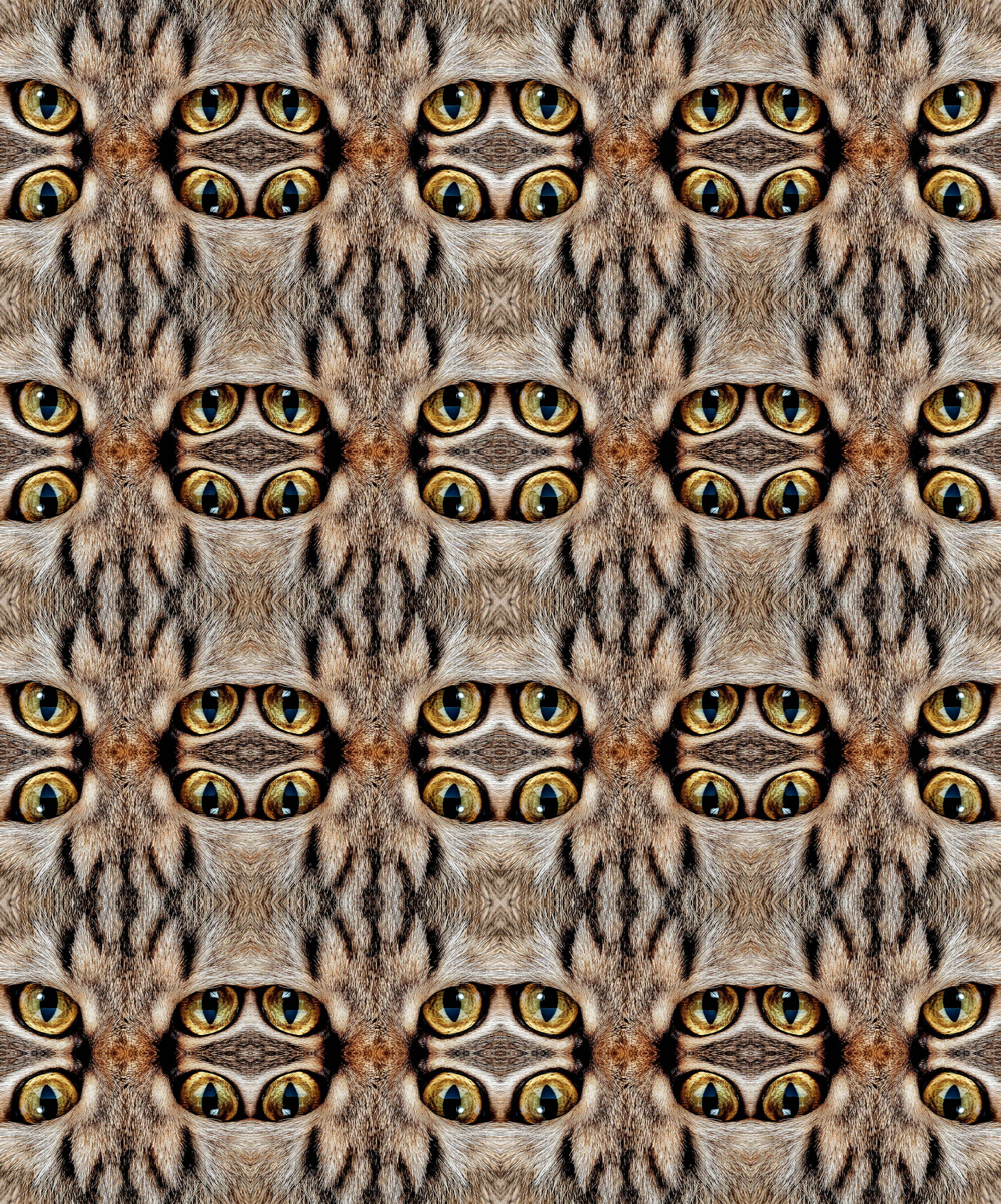 Repeating pattern of cat eyes and fur photo – Free Abstract Image on ...