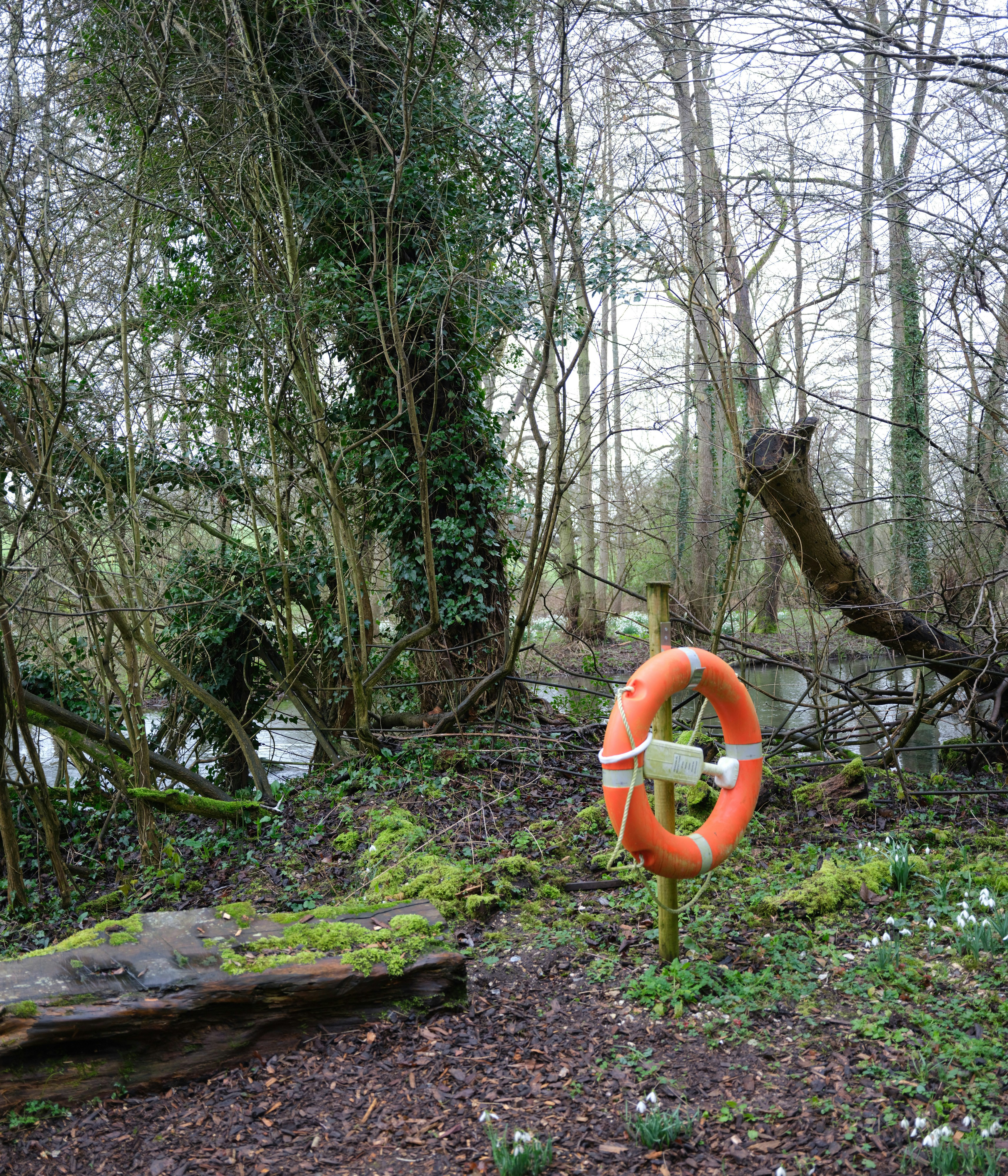 Lifebuoy Post by the Quiet Canal