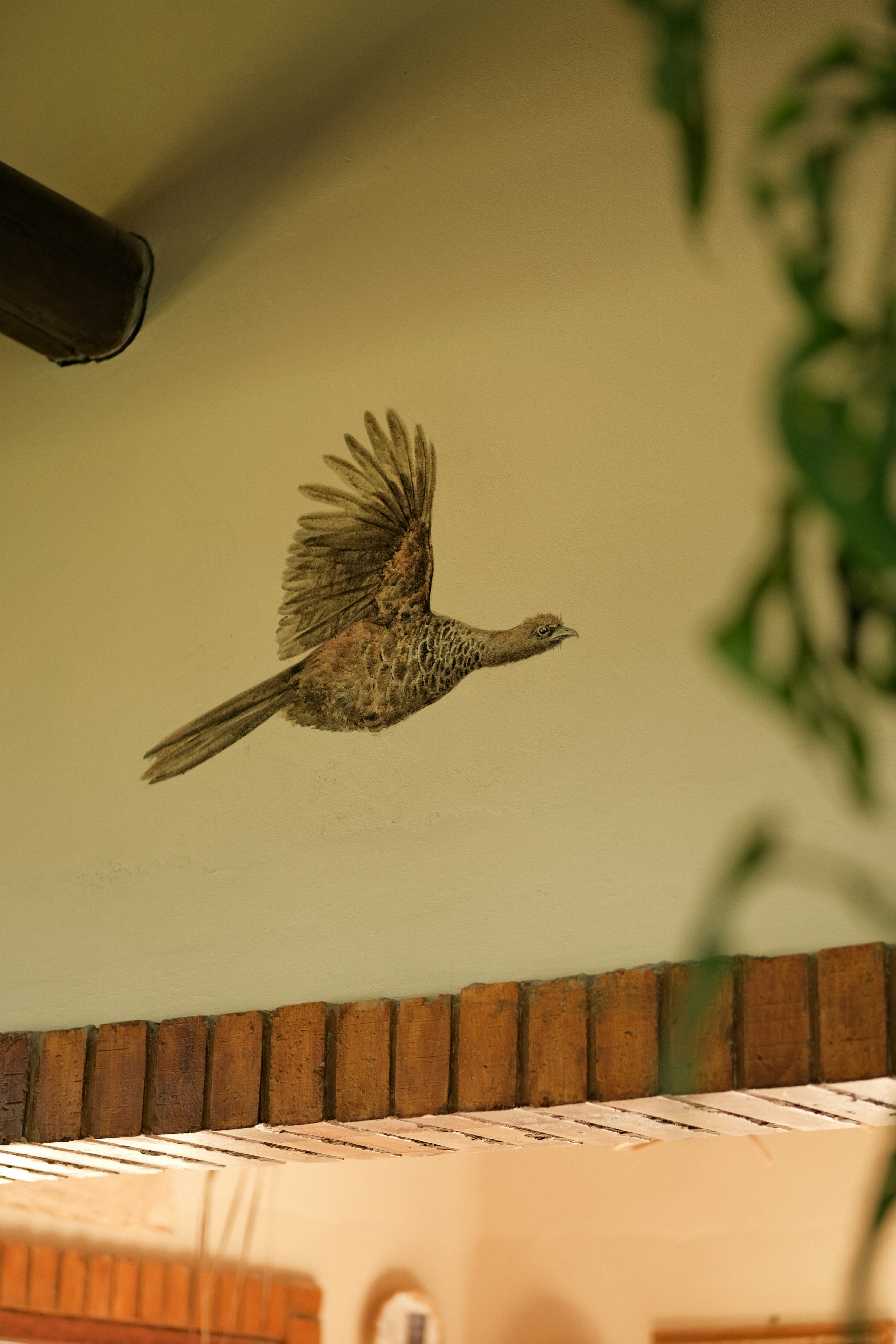 Wingbeat Over the Brick Ledge