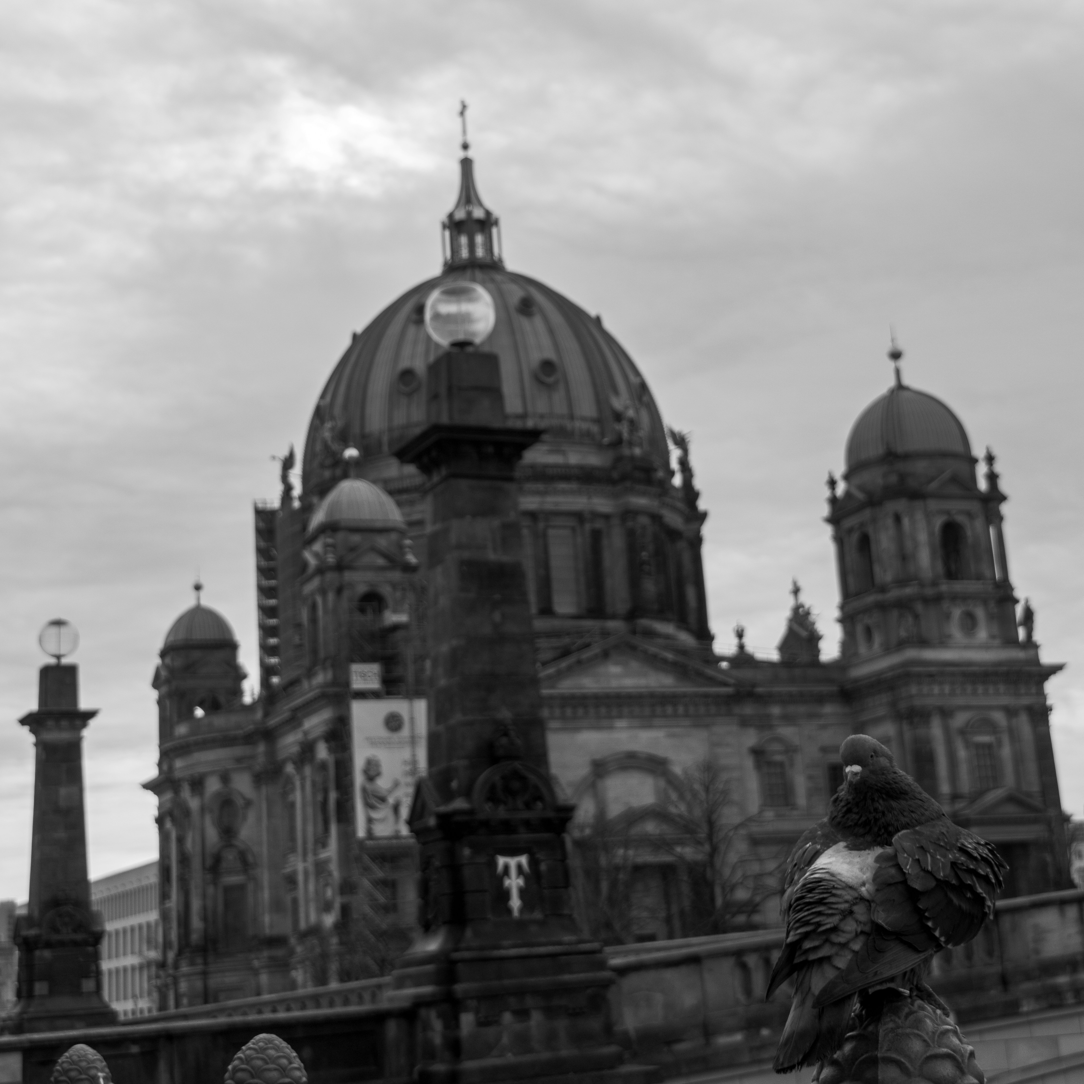 Stately Dome and Dignified Dove: City Cathedral in Focus