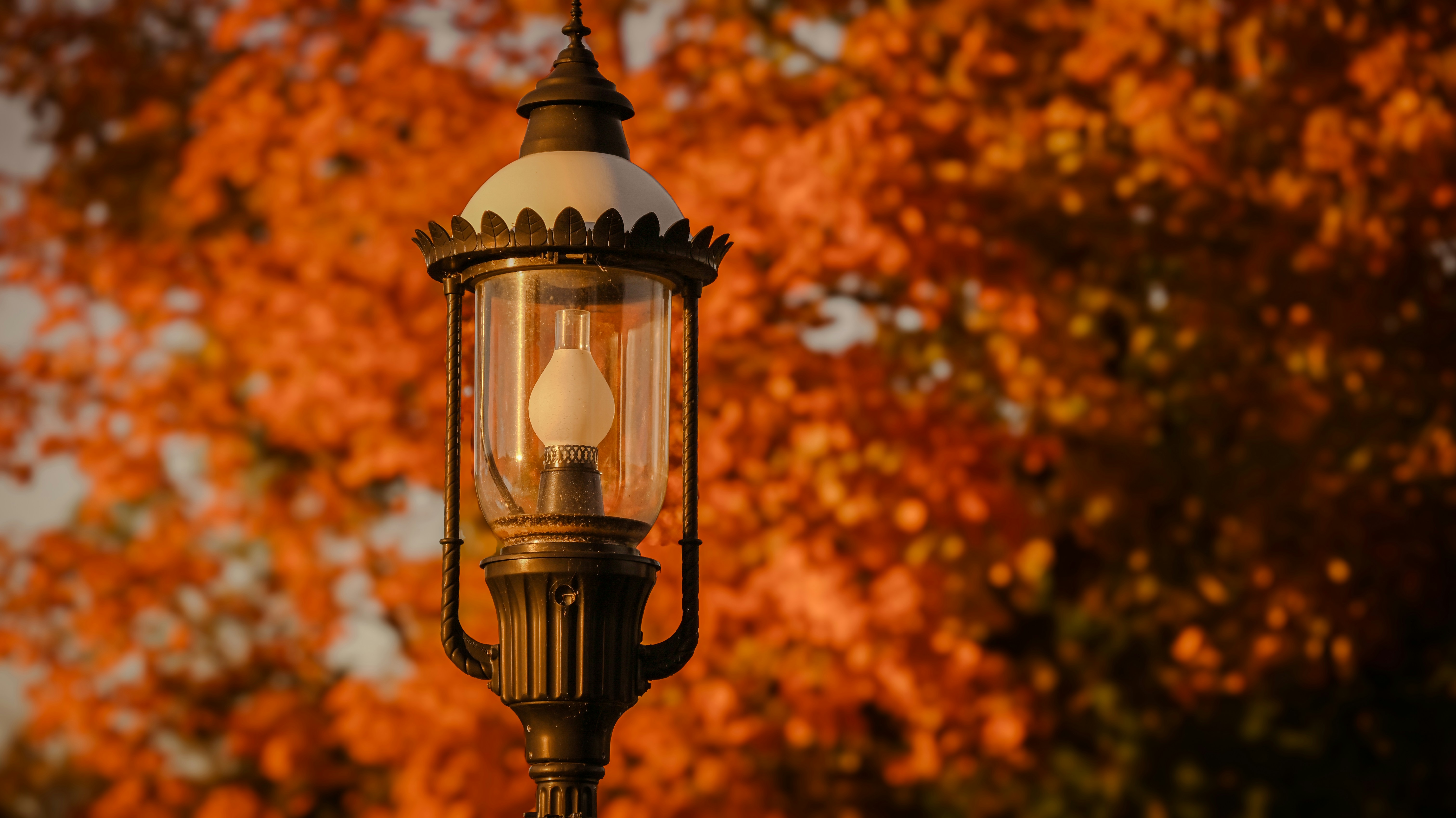 Autumn Glow Over a Lantern