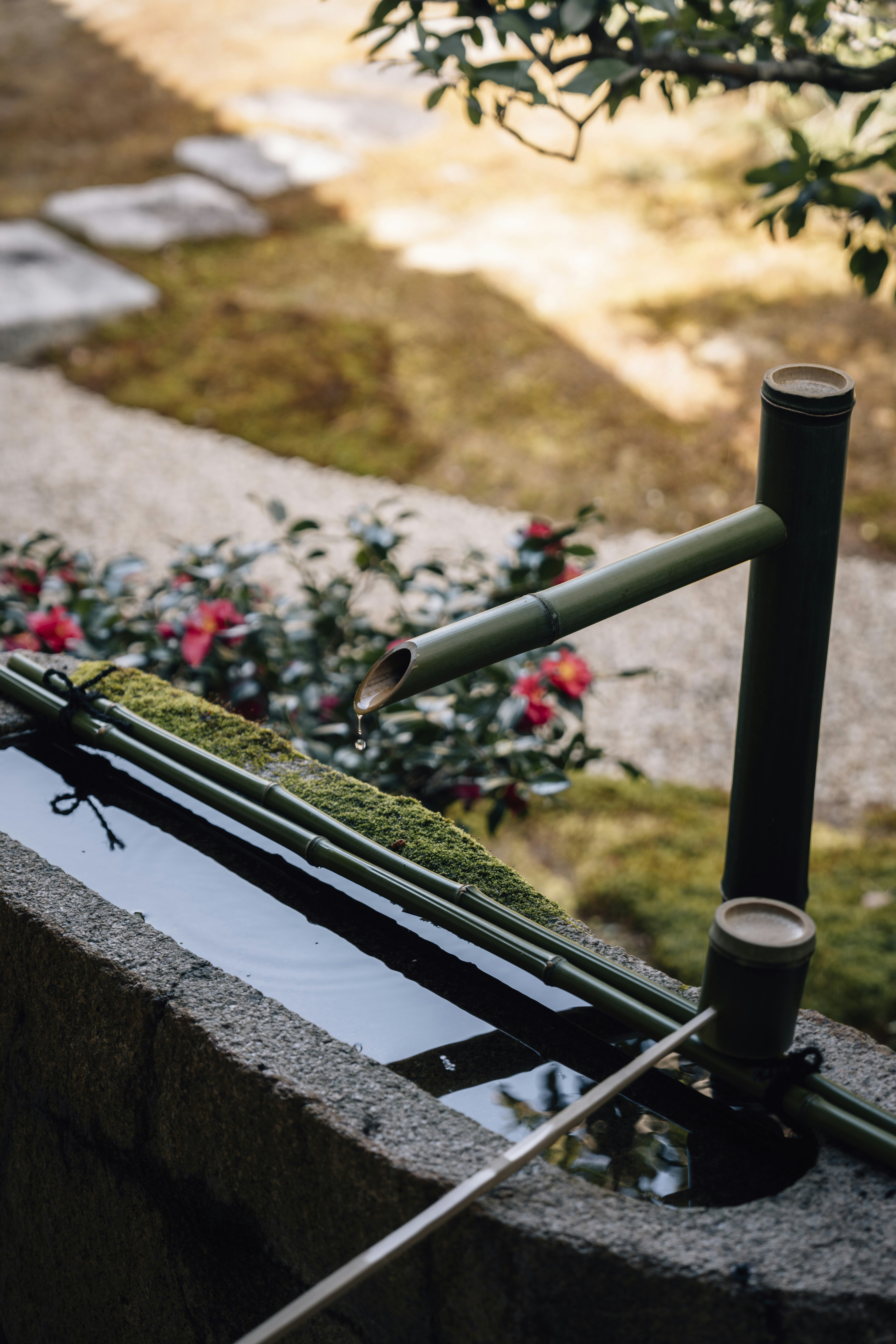 Water-laced bamboo spout over a shadowed stone basin