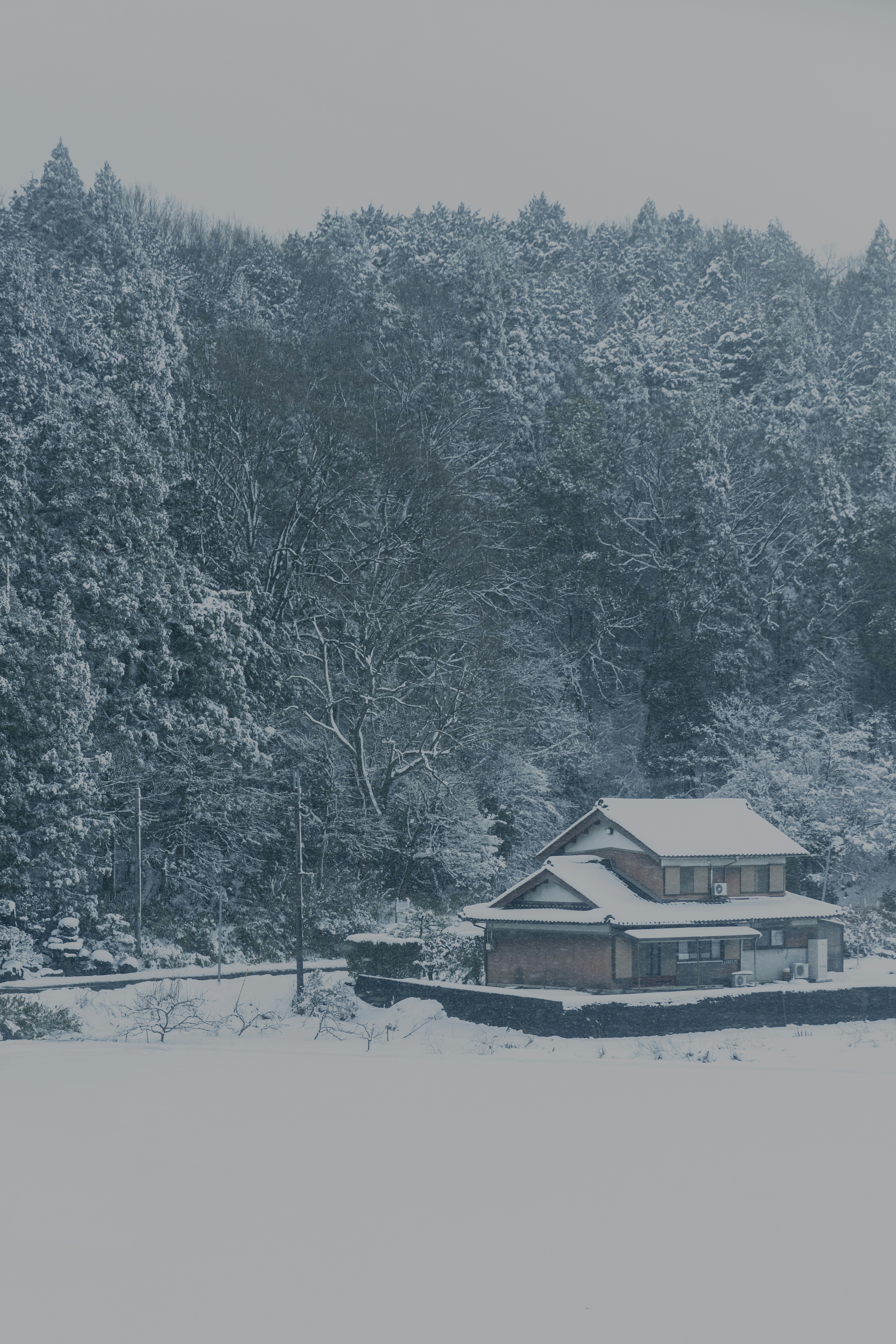 Snowbound Haven: A Quiet House Nestled at the Forest’s Edge