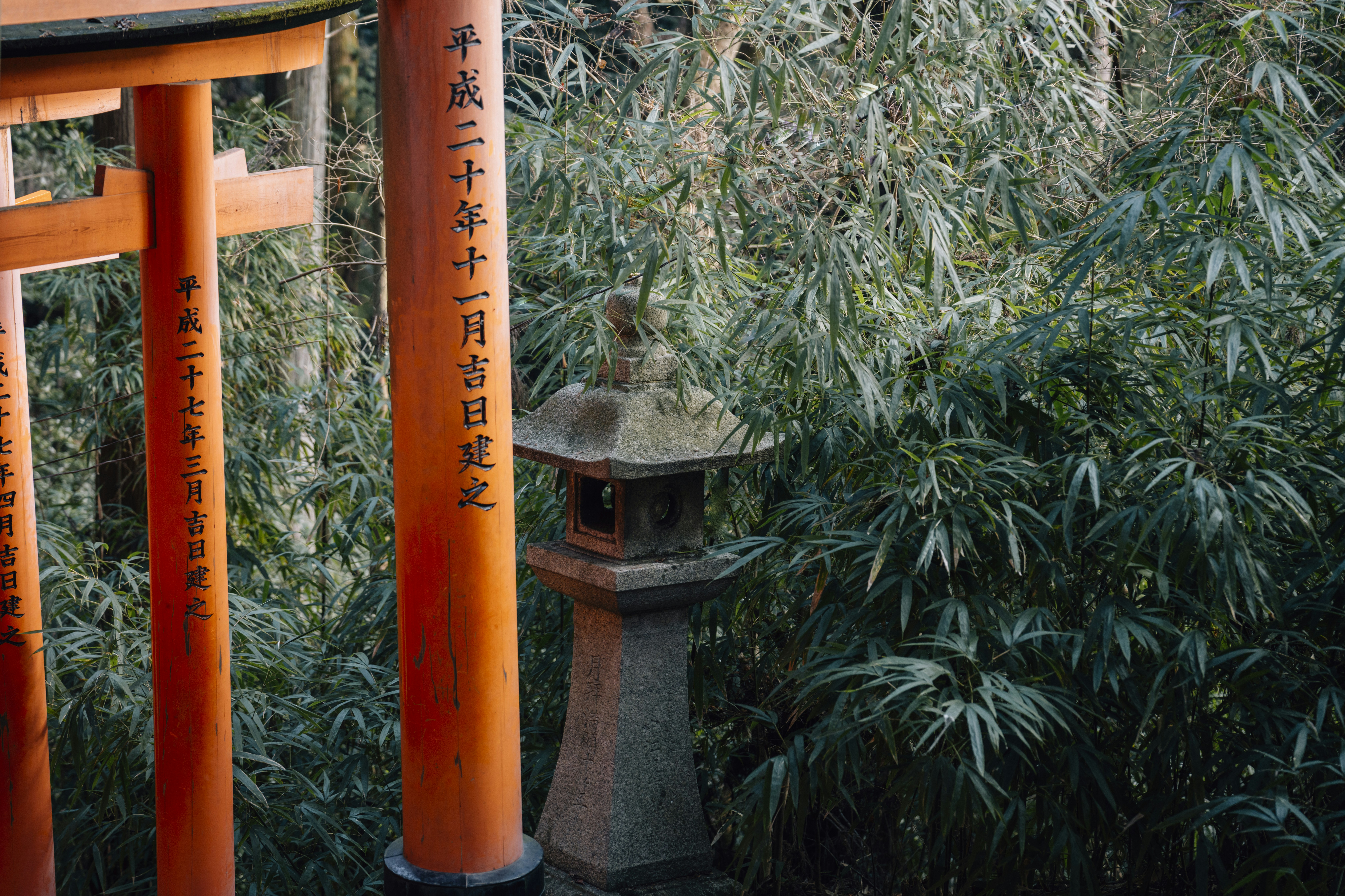 Crimson Torii Piercing a Bamboo Corridor