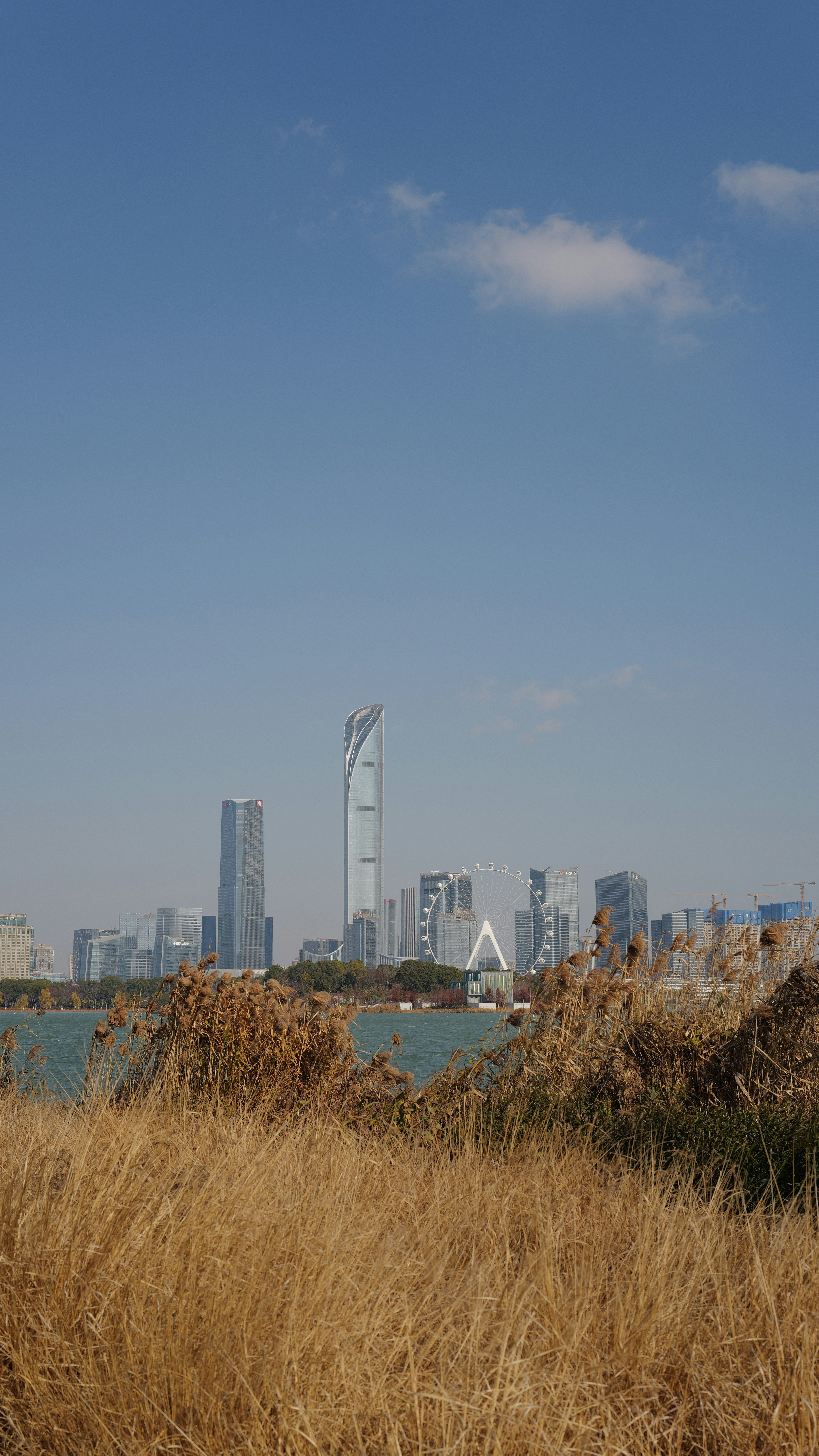 City Skyline Rising Over Golden Fields by the Waterfront