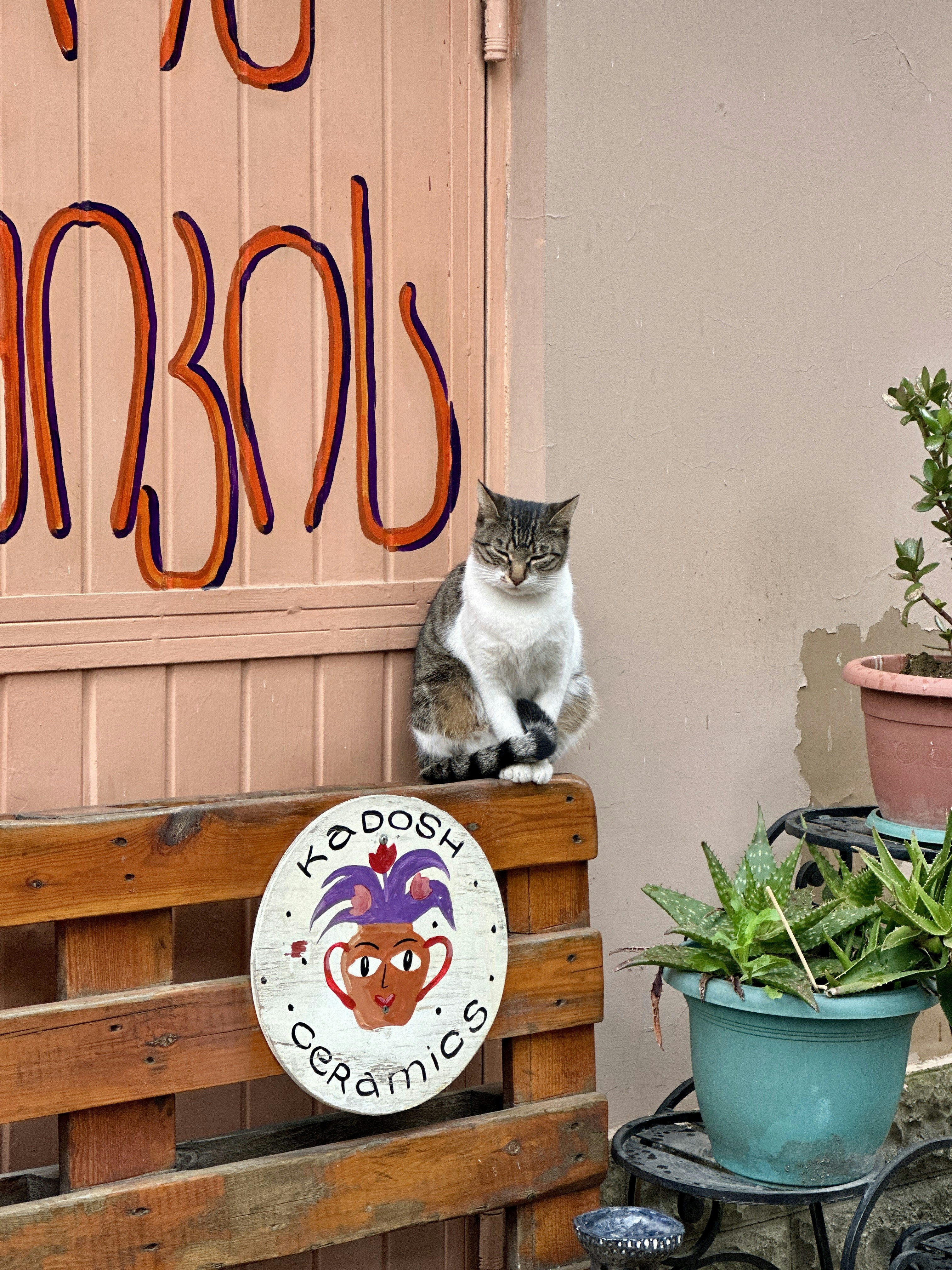 Cat on a Painted Porch: Quiet Confidence by Ceramic Sign