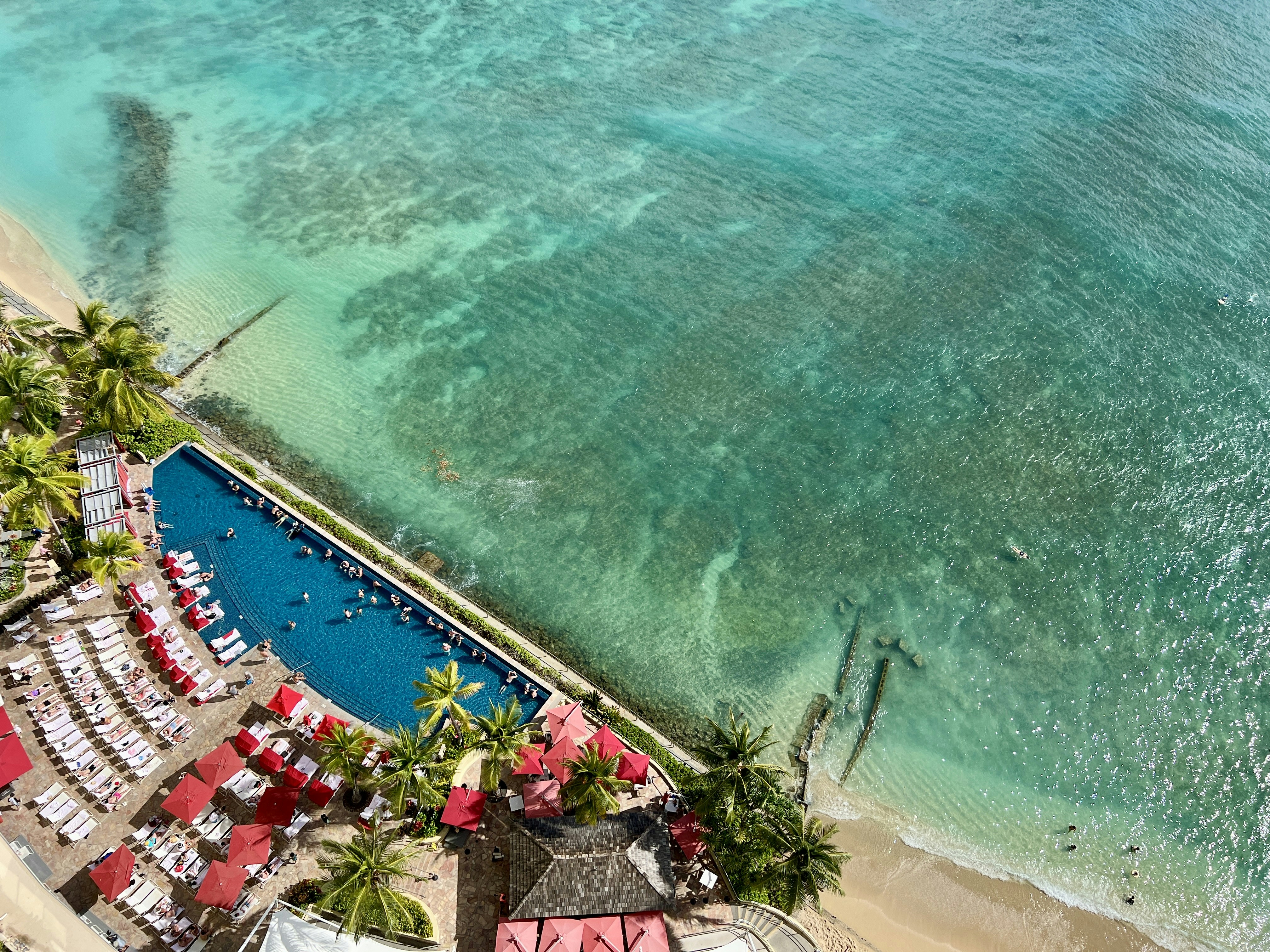 Sunlit Resort Cove: Aerial Swim, Sand, and Palm