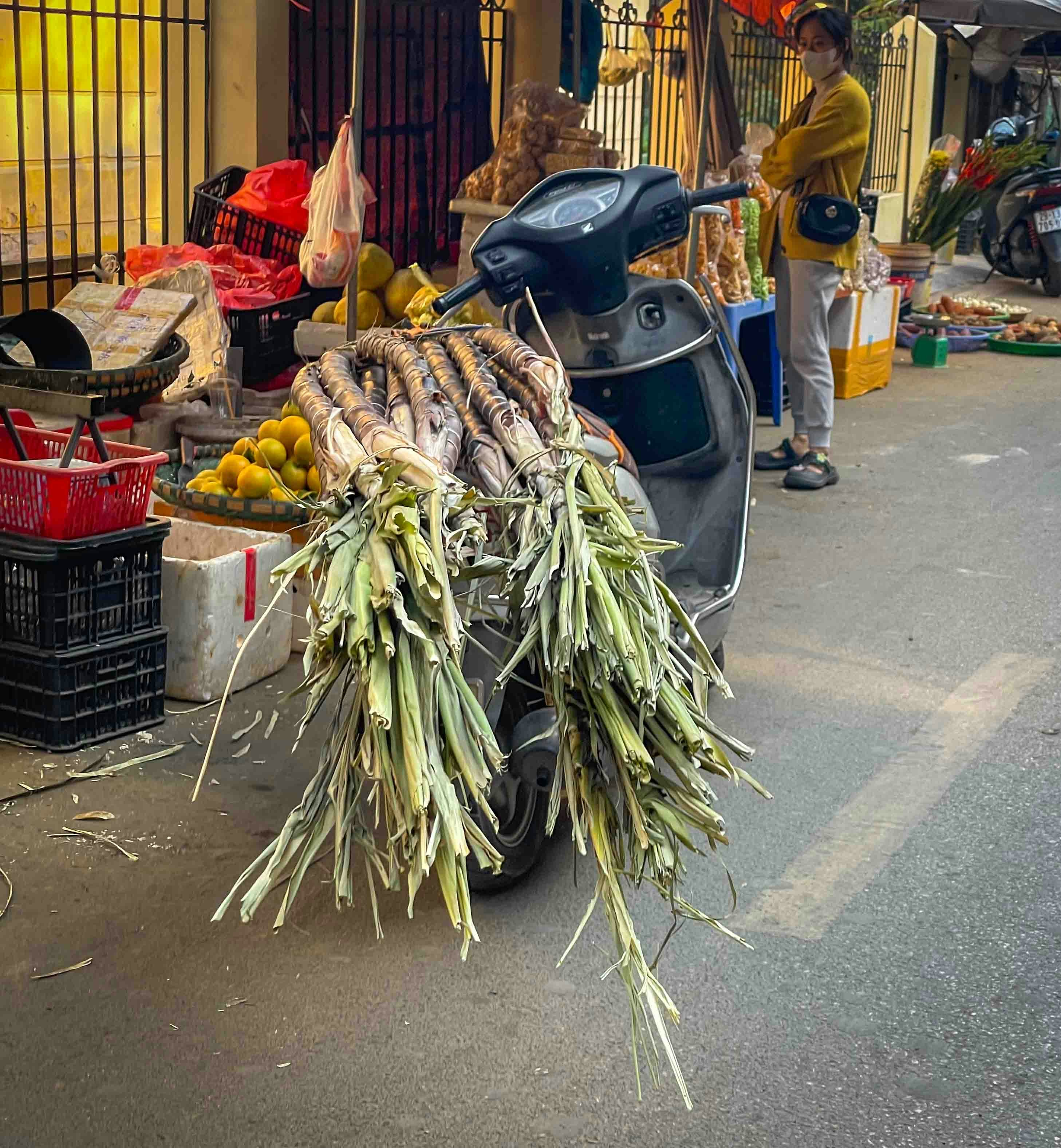 Bouquet of Market Greens Draping from City Scooter