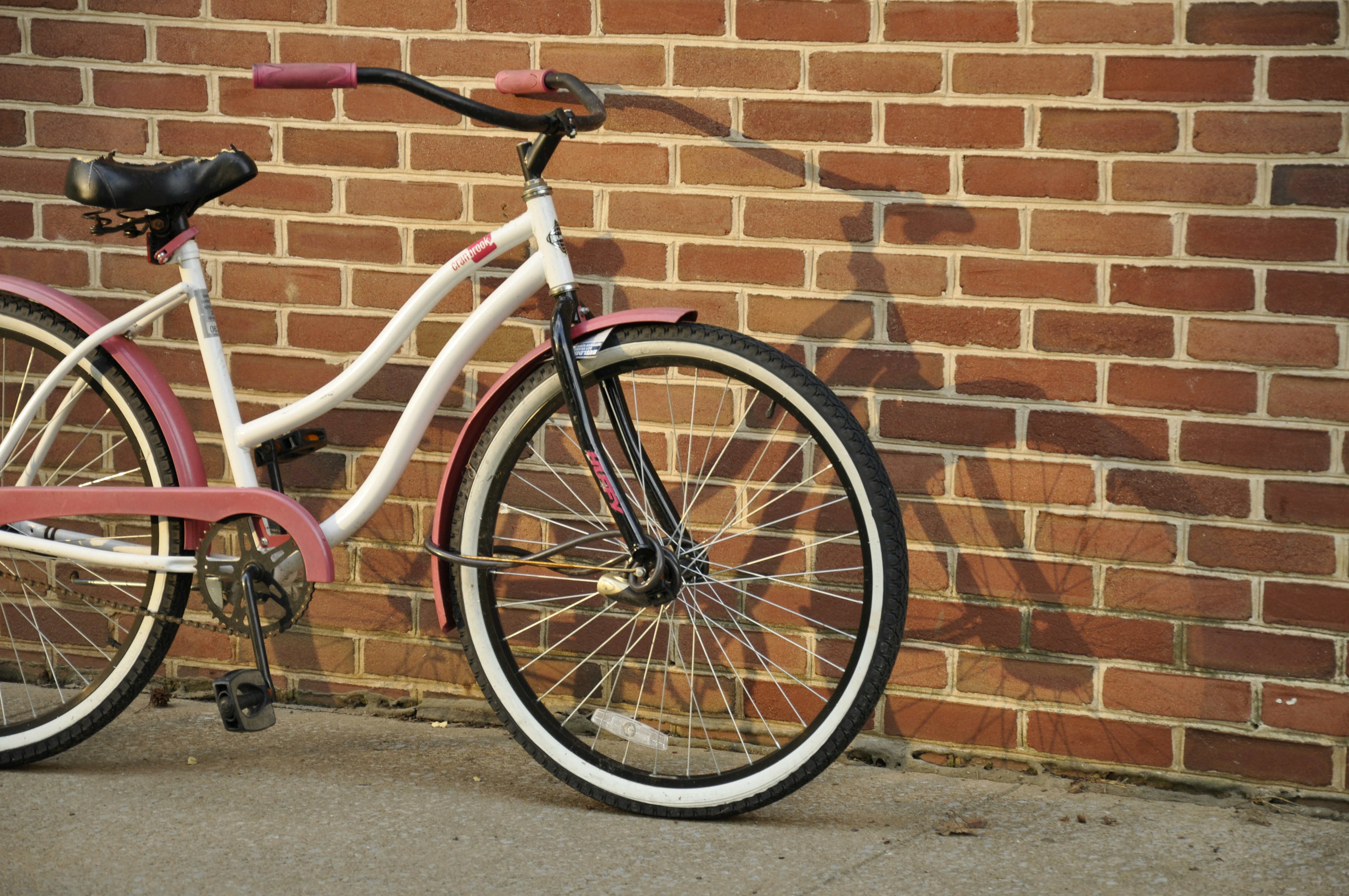 Pastel Bicycle by the Brick Wall