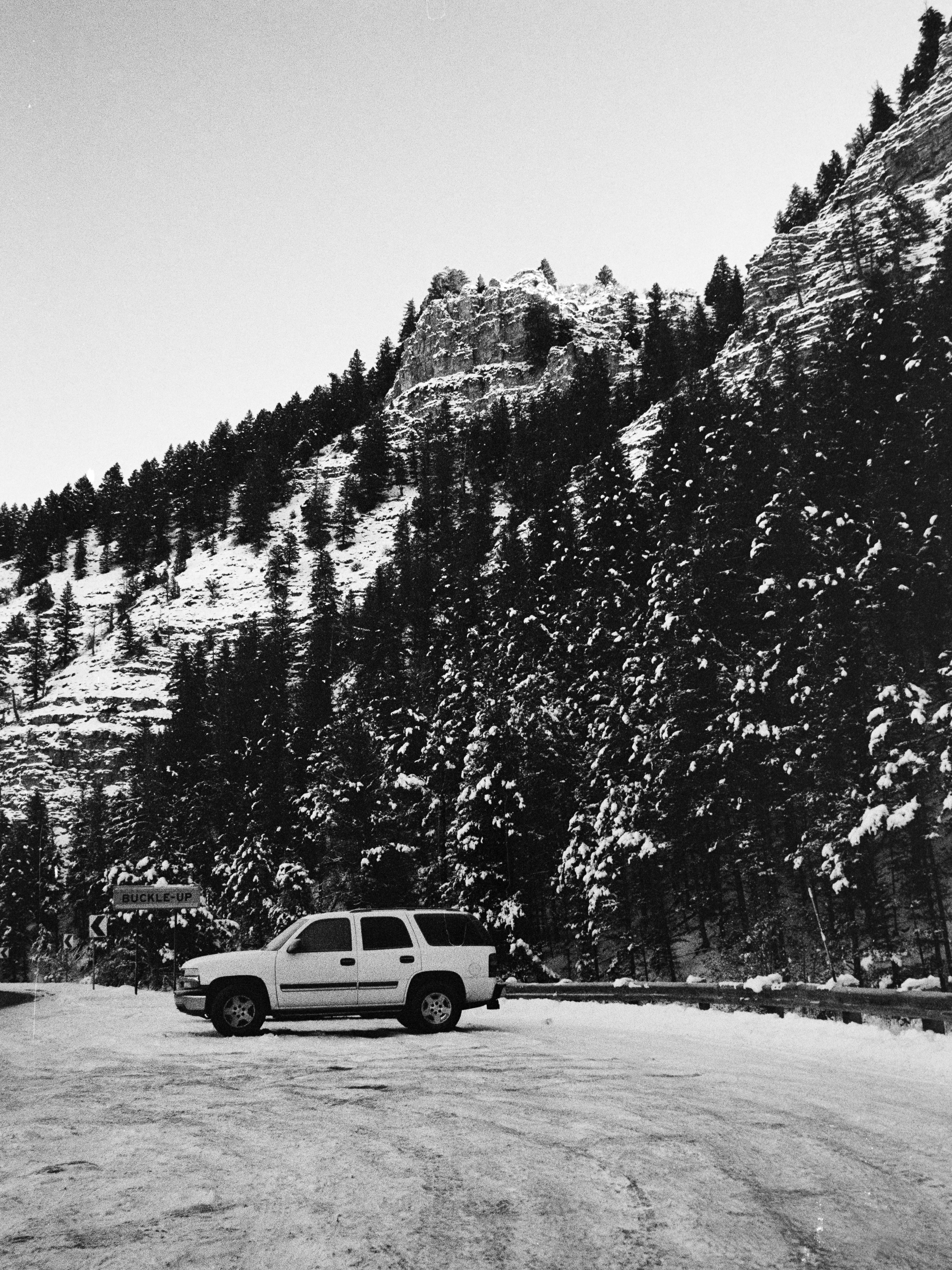 Snowbound Ridge: A White Pickup under Pine Shadows