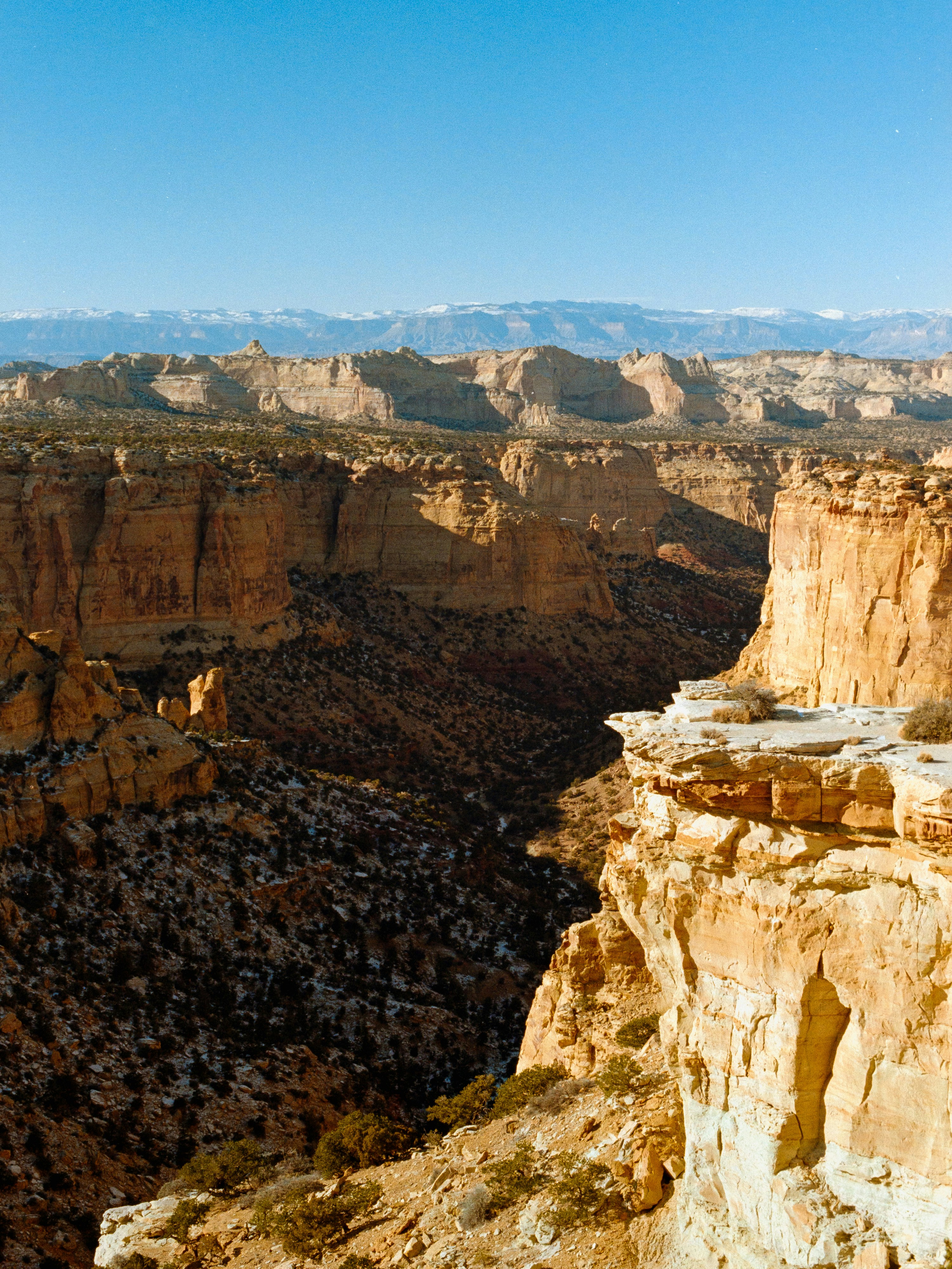 Layered Canyon Crown: A Sunlit Ridge over the Desert Void