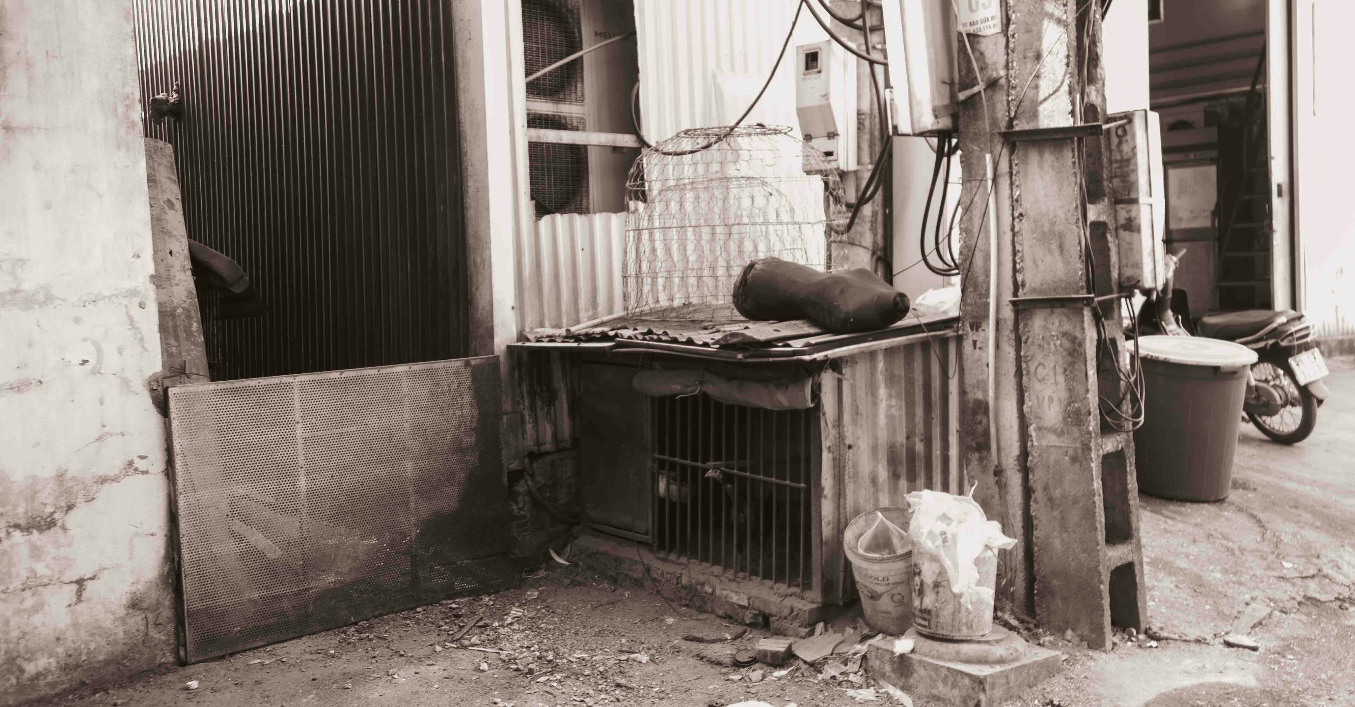 Dusty Alleyway Reliquary