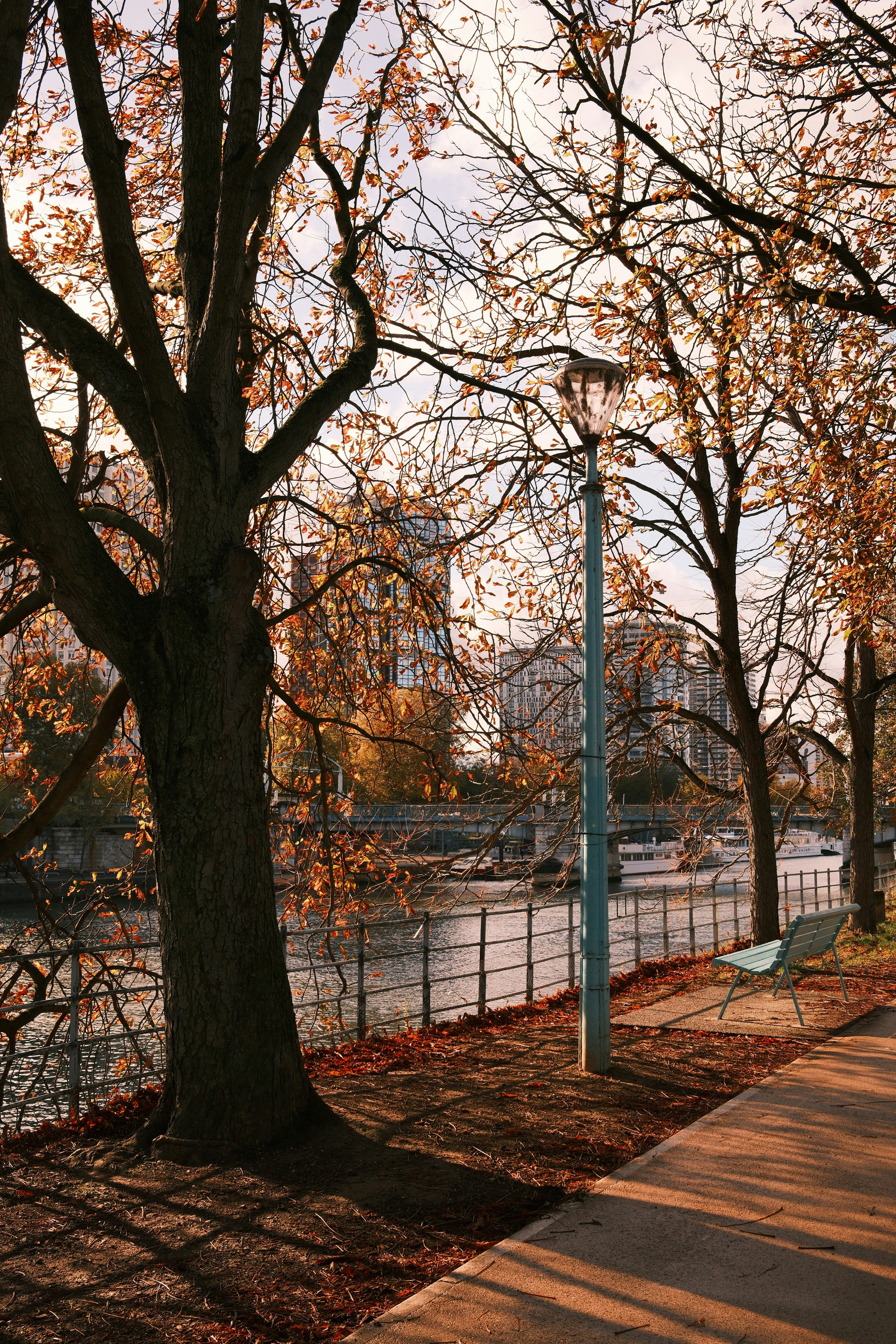 Autumn Riverside Lantern: A Quiet Moment by the Park Path
