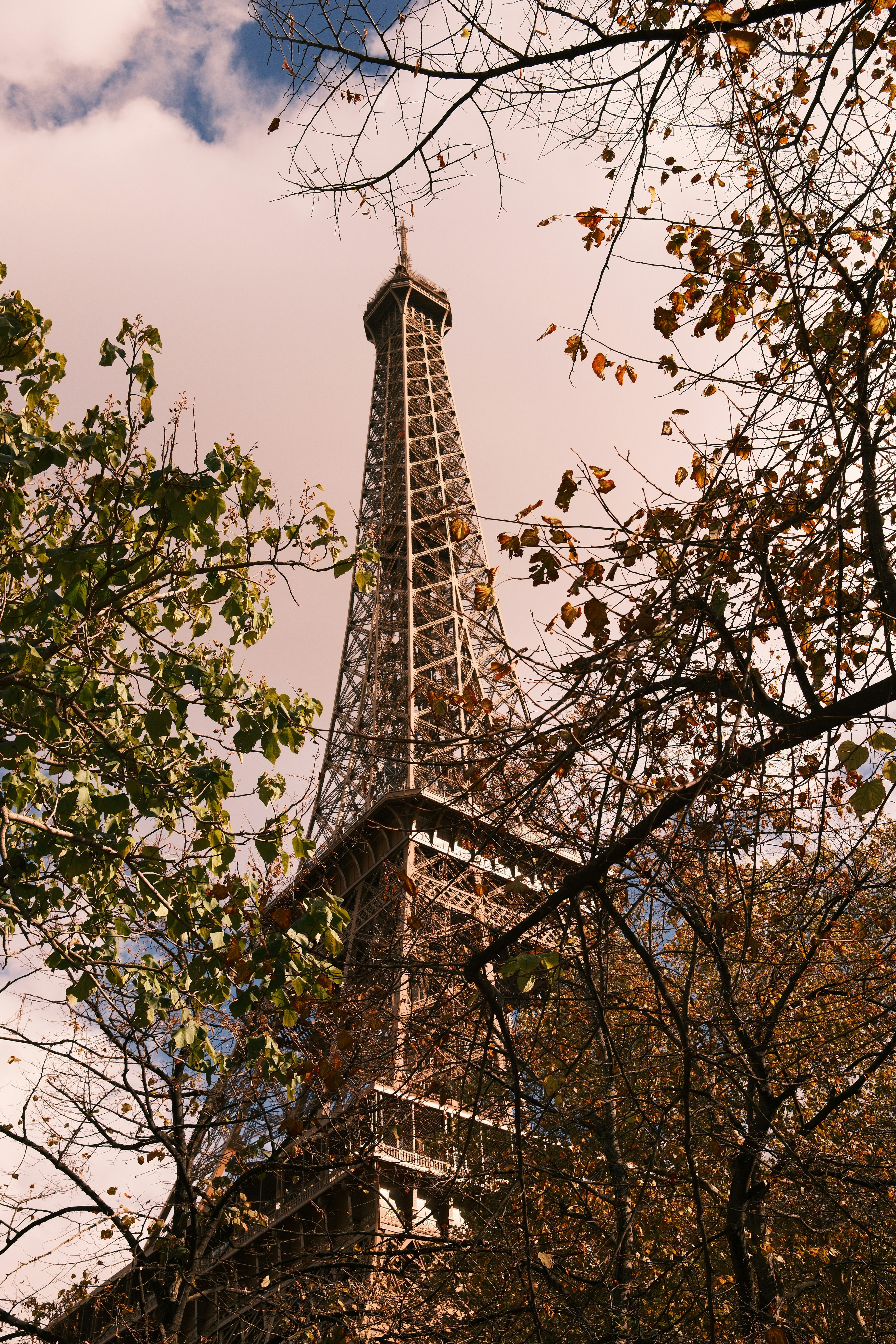 Iron Lace: The Eiffel Tower Reaches Through Autumn Veil