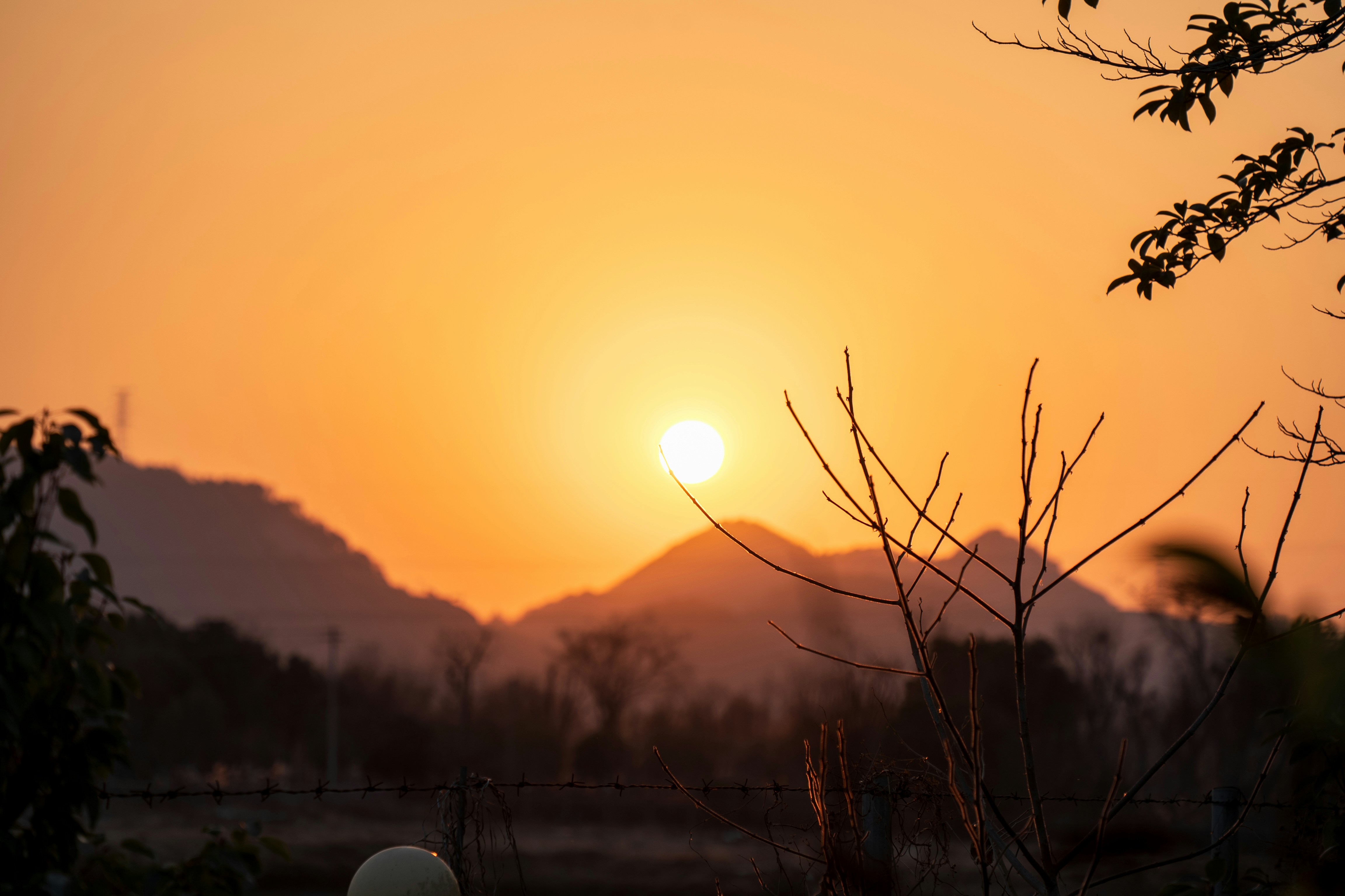 Horizon Calm: Sunset Over Silent Field