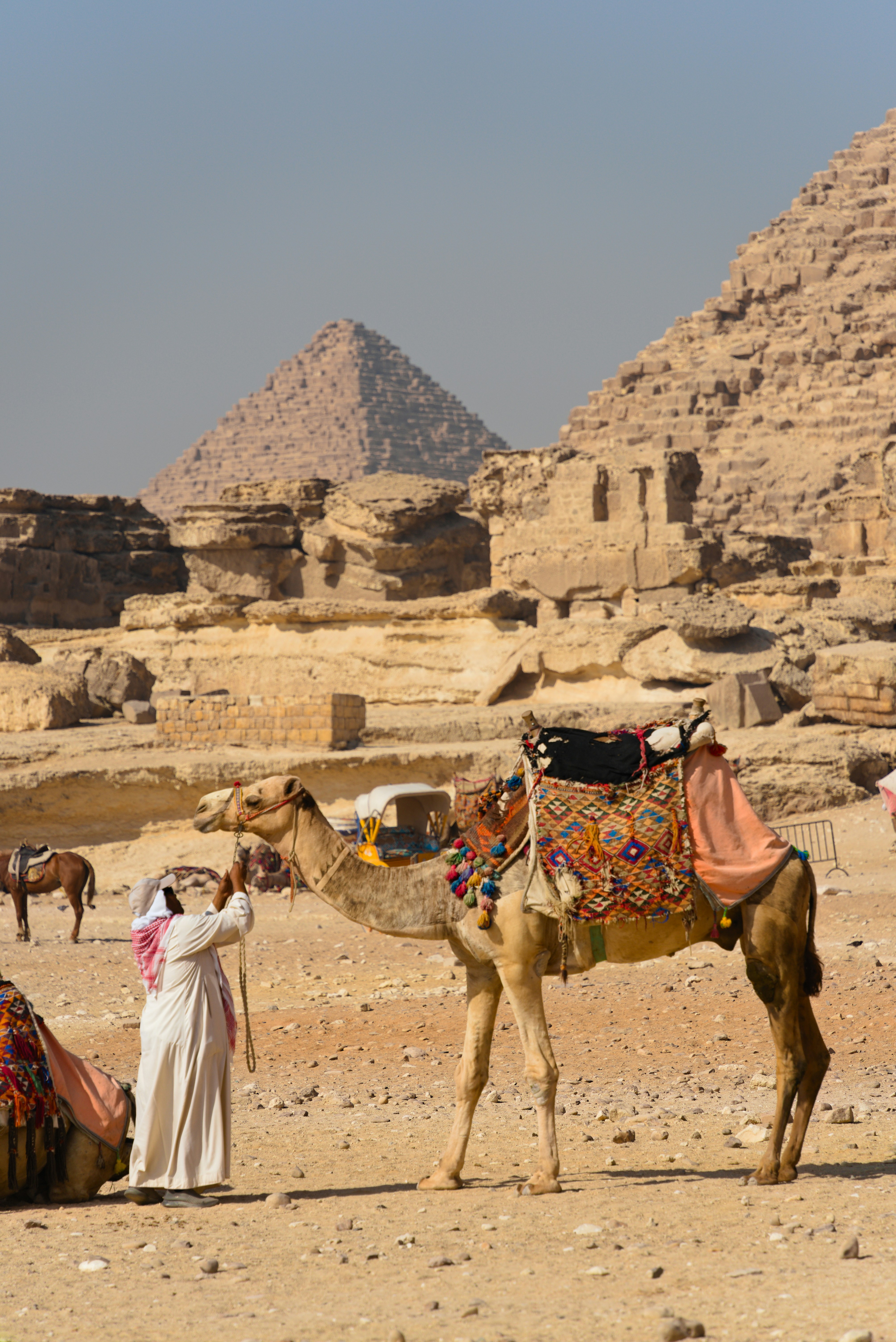 Desert Meet: A Camel-Tethered Moment Before the Pyramids