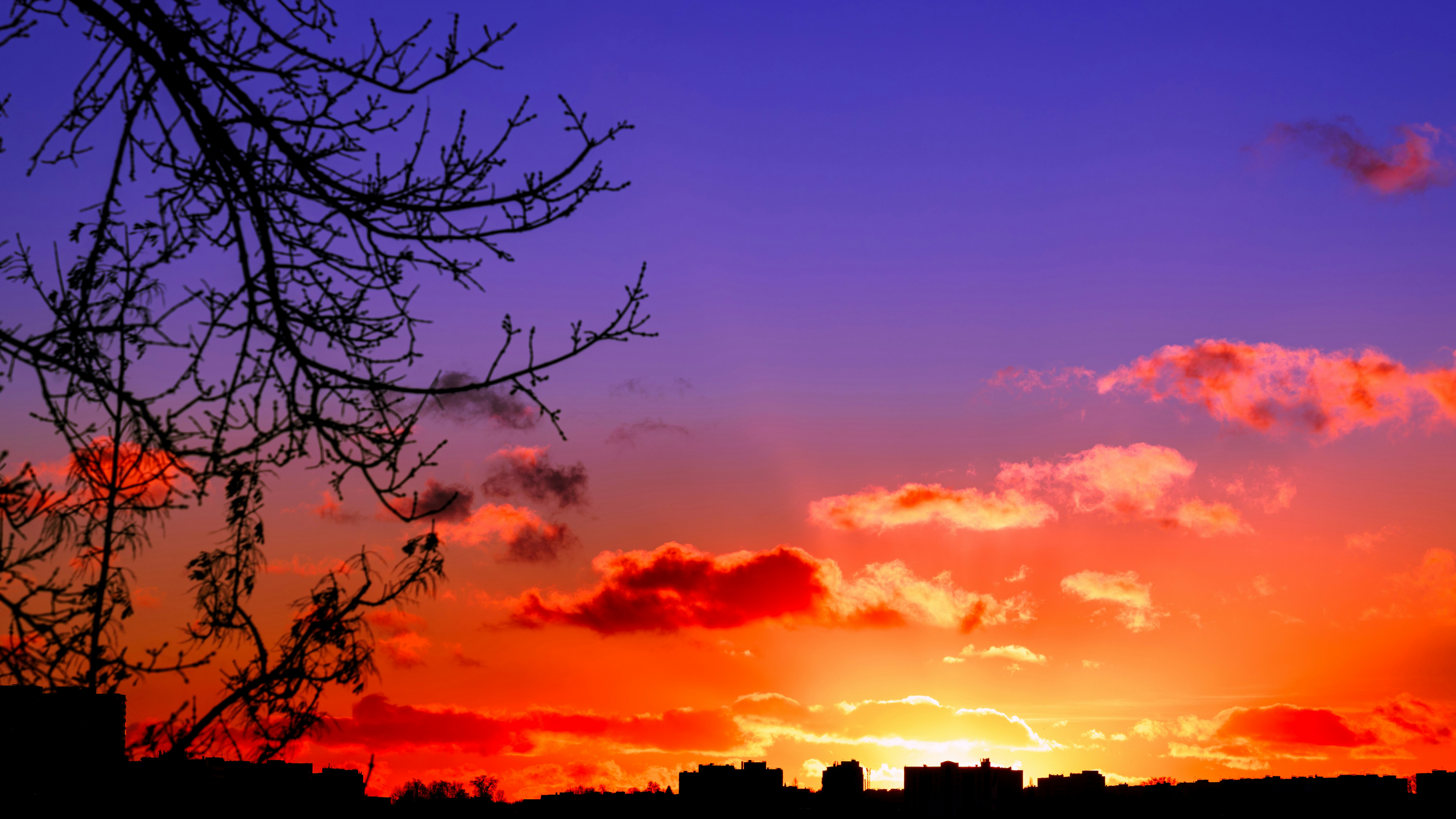 Twilight Skyline: Fiery Horizon framed by silhouetted branches