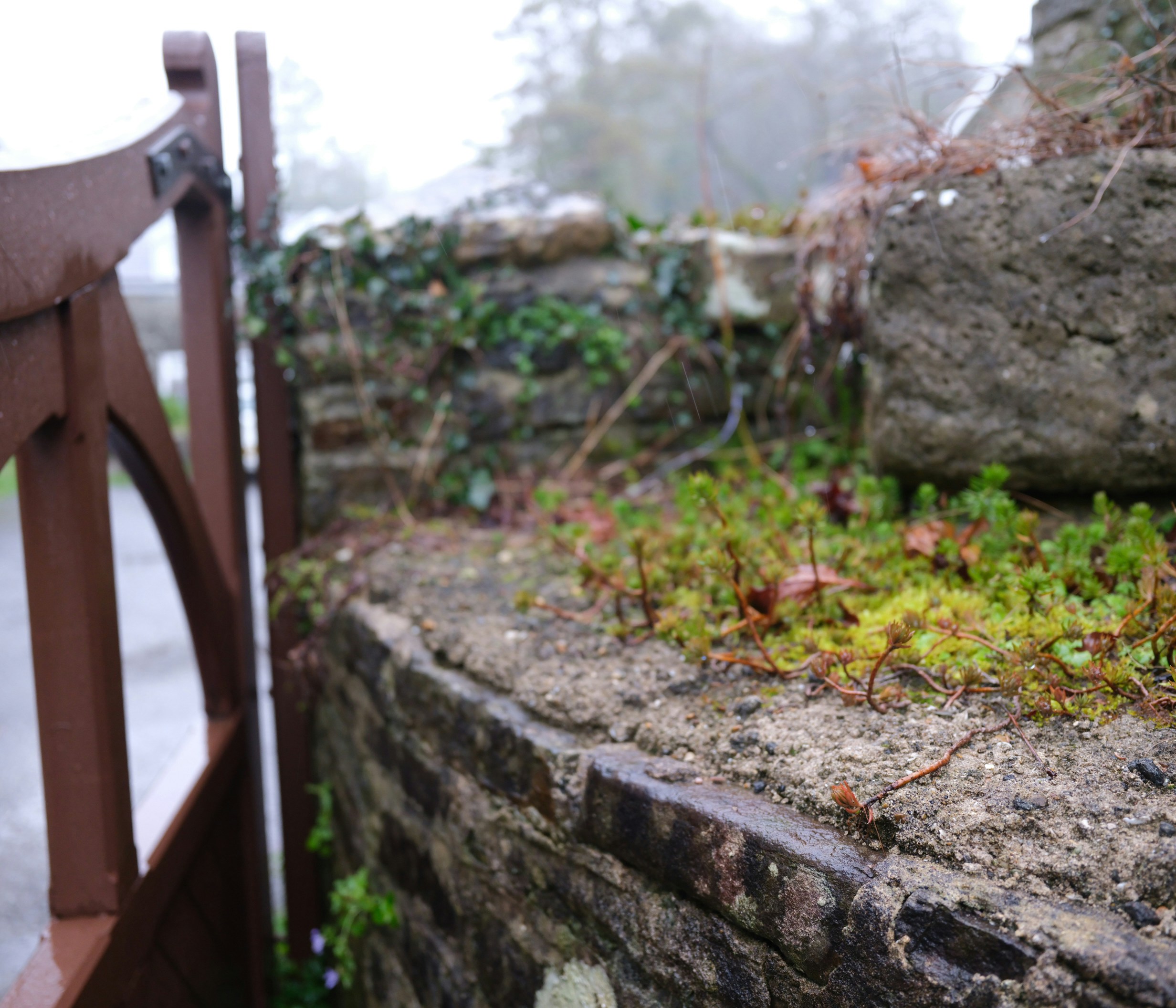 Mossy Tiered Wall at a Foggy Terrace