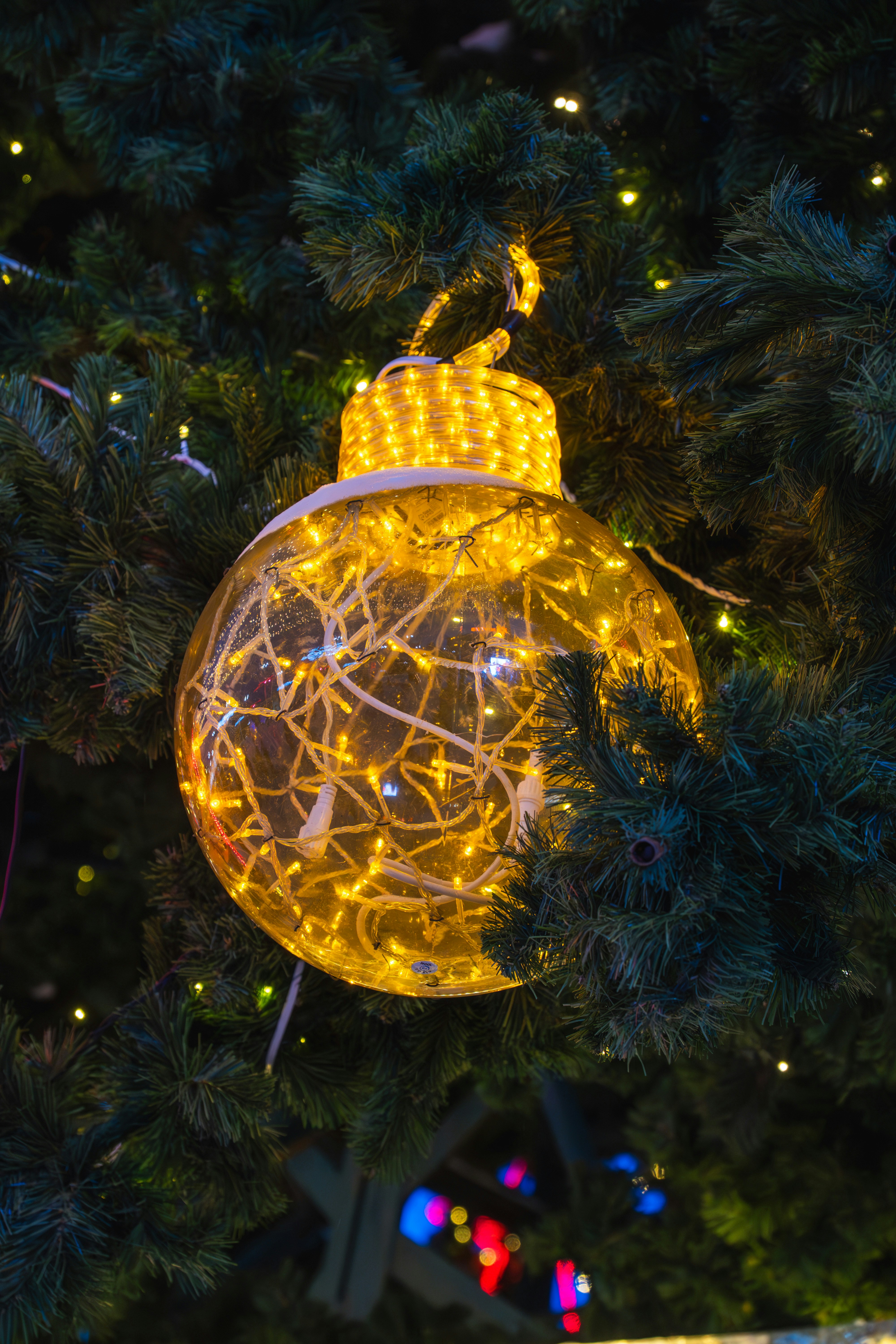 Golden Ornament Glow: A Pendant in the Christmas Fir