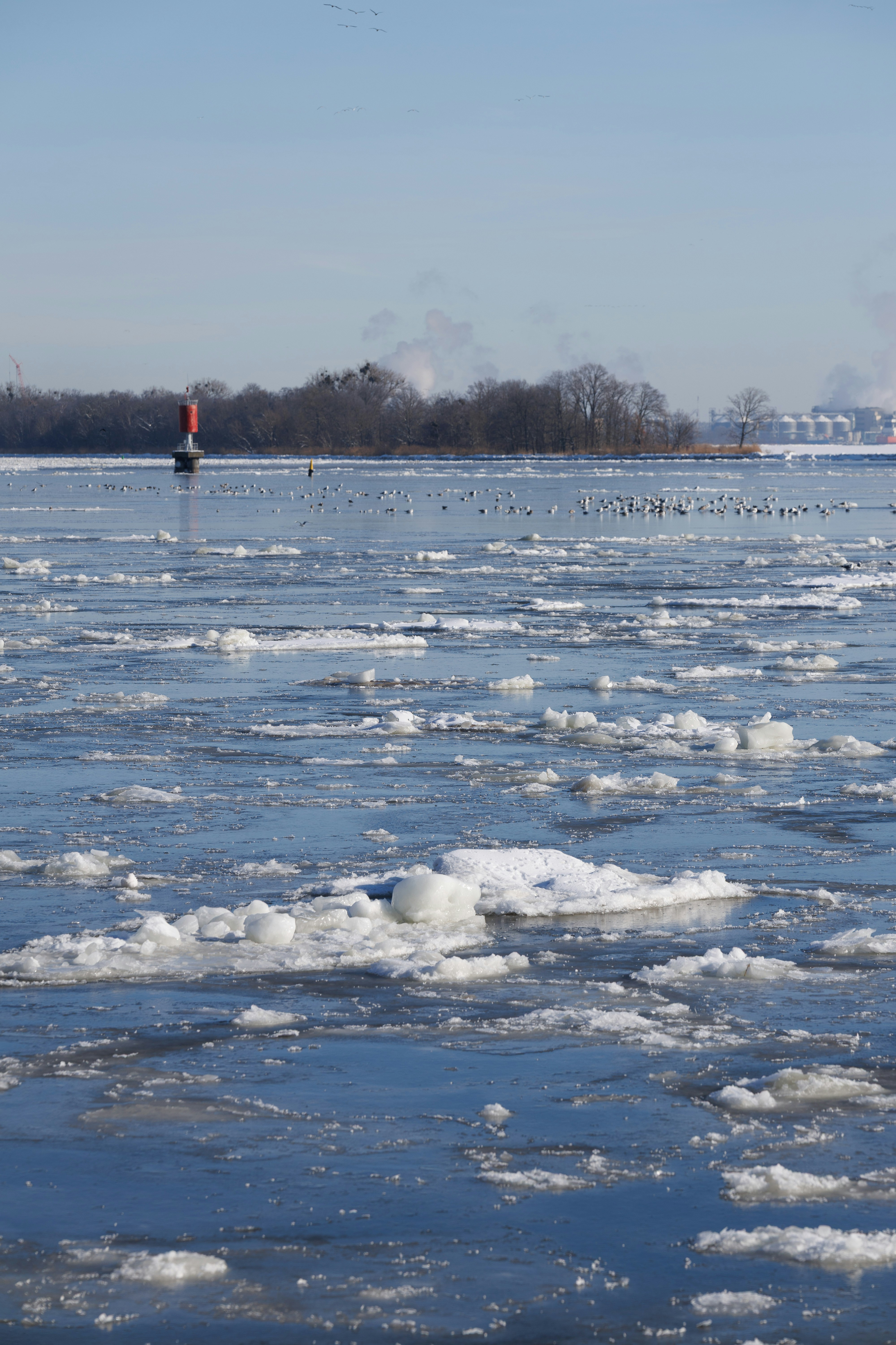 Red Buoy on a Frosted Sea: Quiet Winter Horizon
