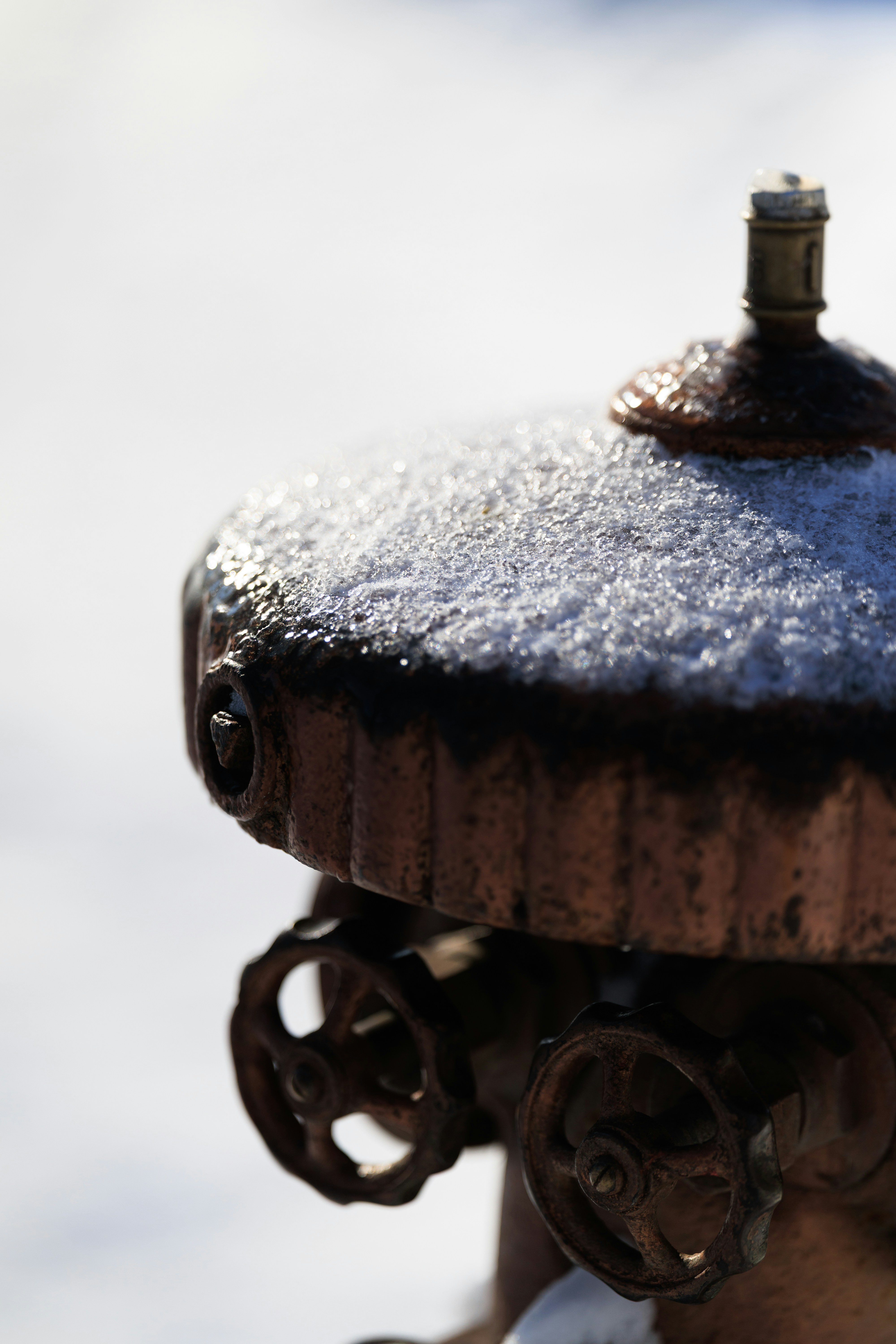 Frozen Caps and Rusted Core: A Close-Up on a Weathered Fire Valve