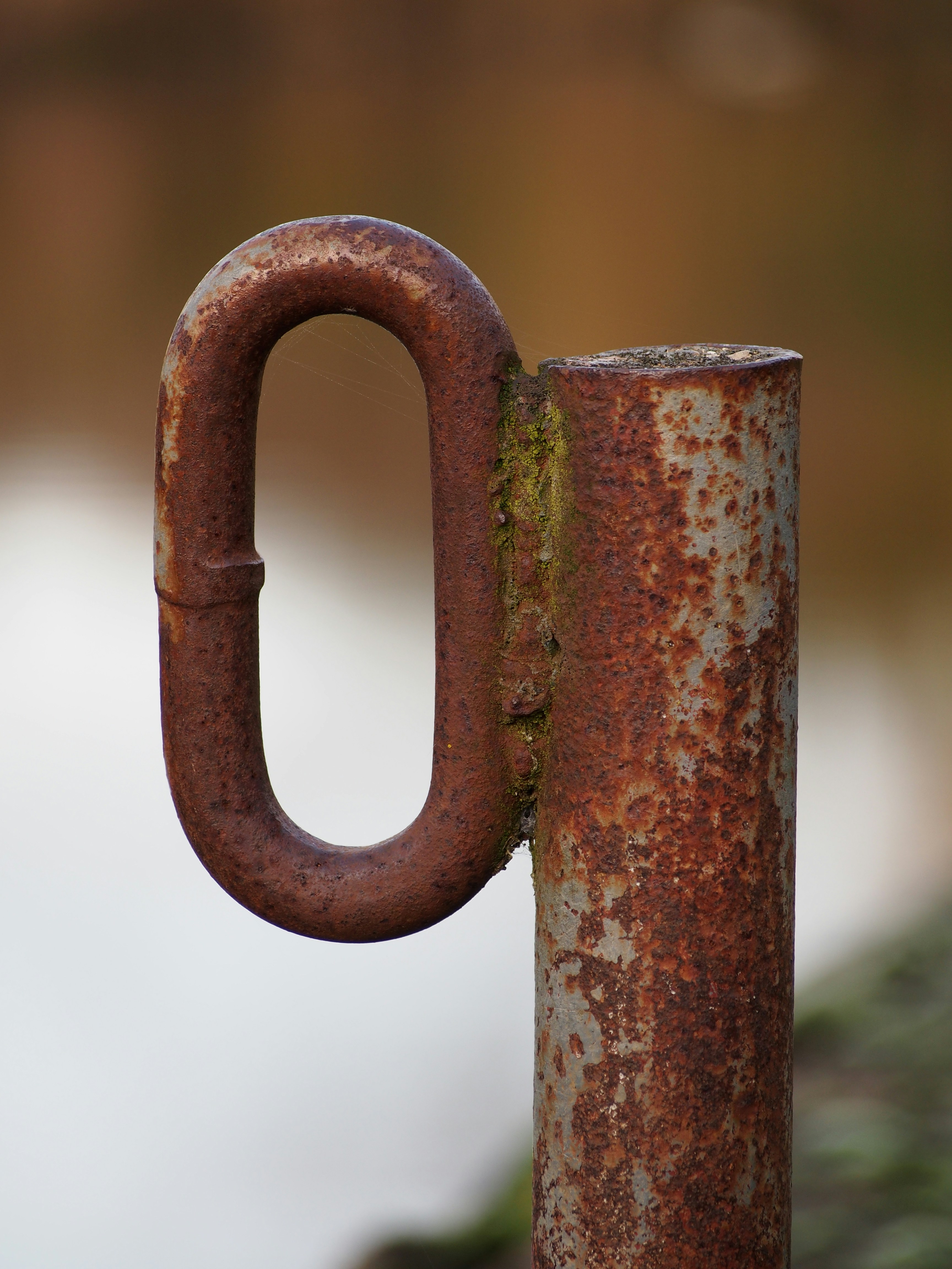 Iron Loop in Time: A Rusted Gatekeeper by the Waterfront