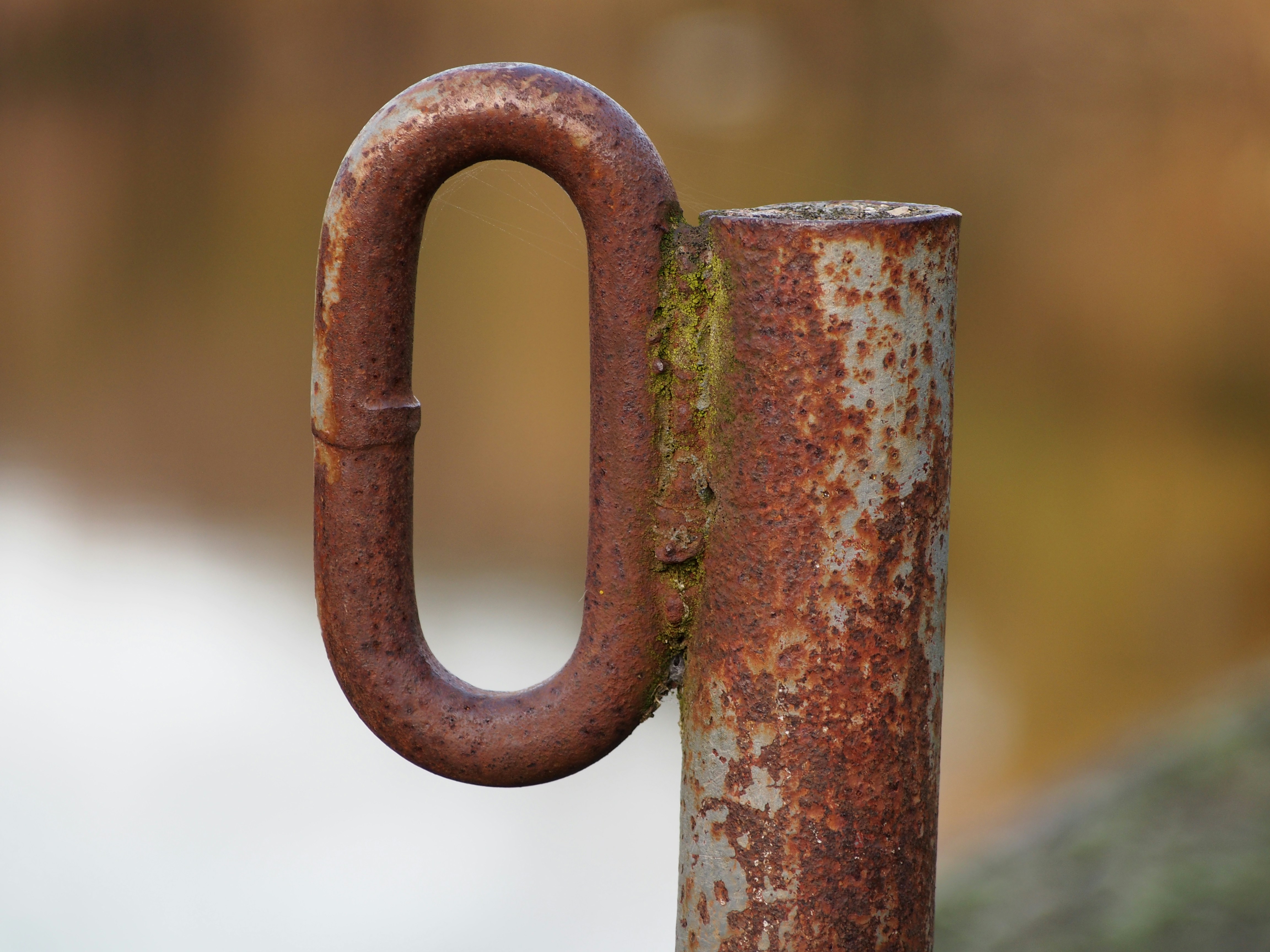 Rusty U-Loop: Weathered Anchor by the Riverbank