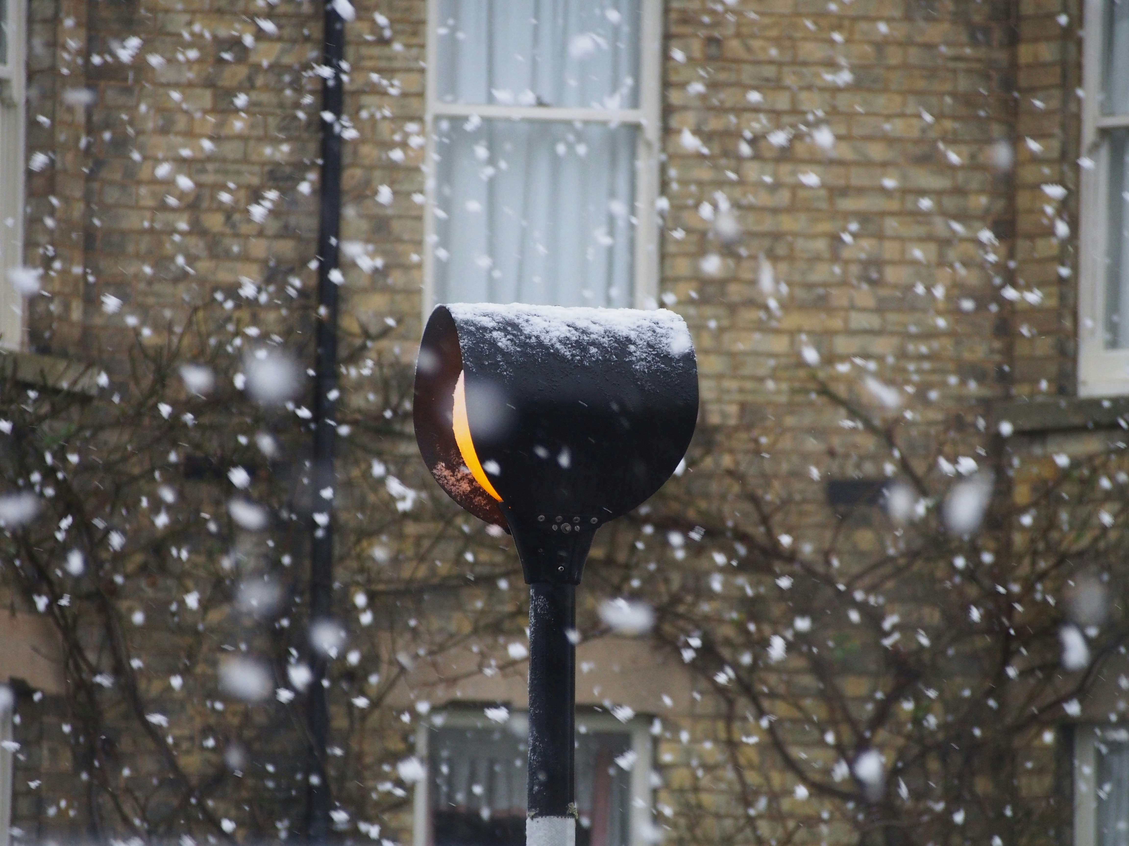 Flame in the Snow: Night Bloom of a Street Lamp