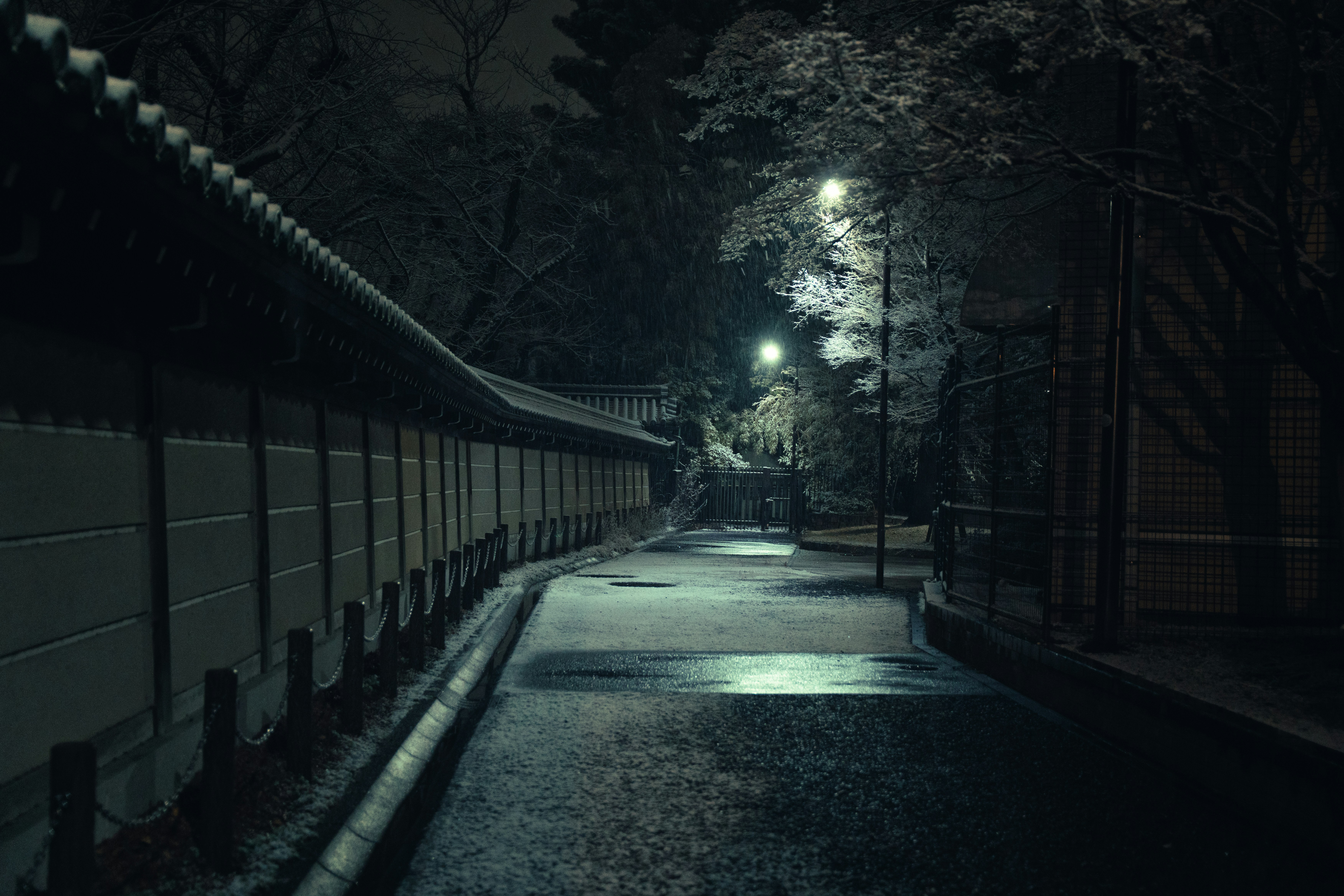 Moonlit Corridor: Quiet Night along the Lanterned Wall