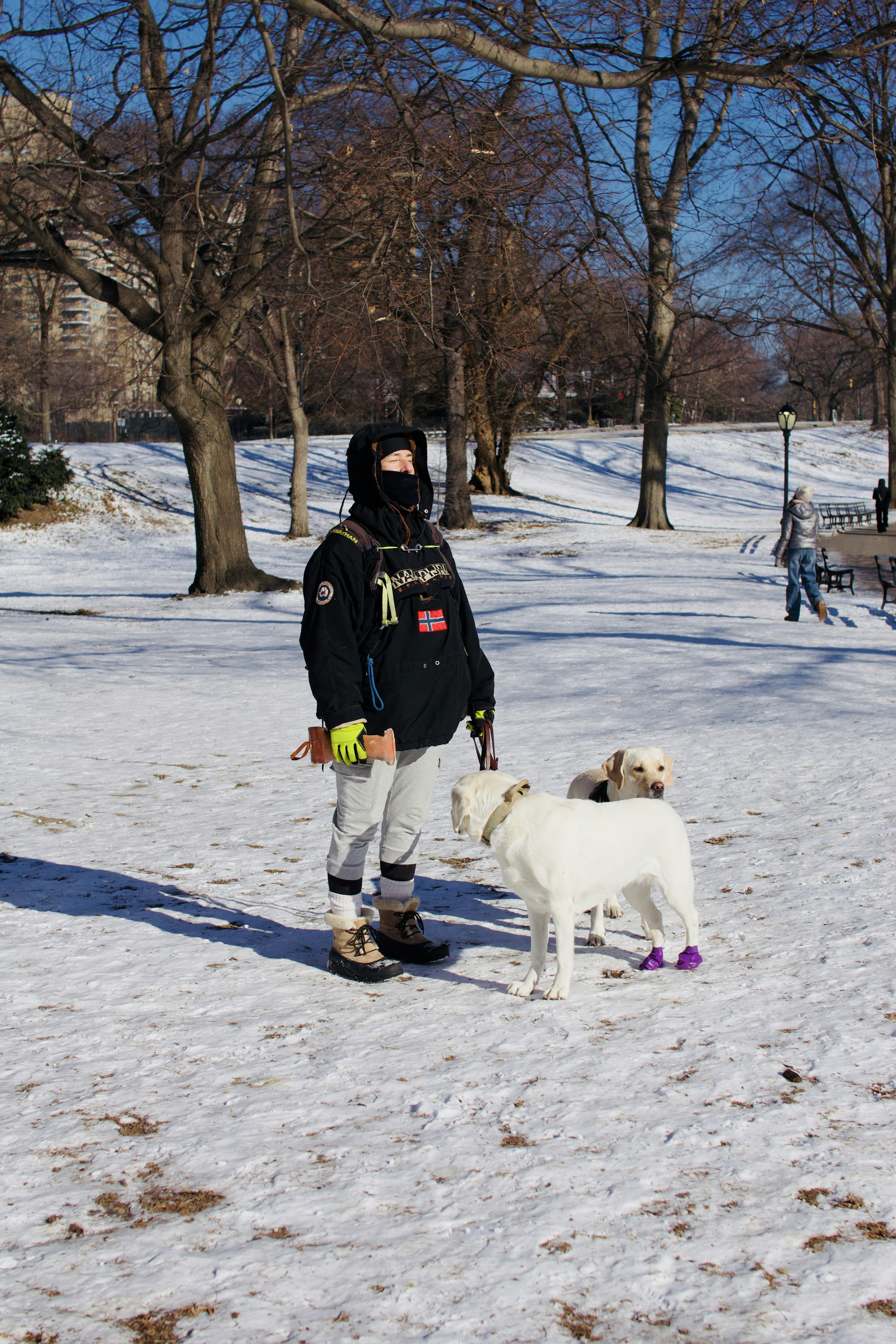Snowy Park Encounter: Guide and Dogs in Low Winter Light