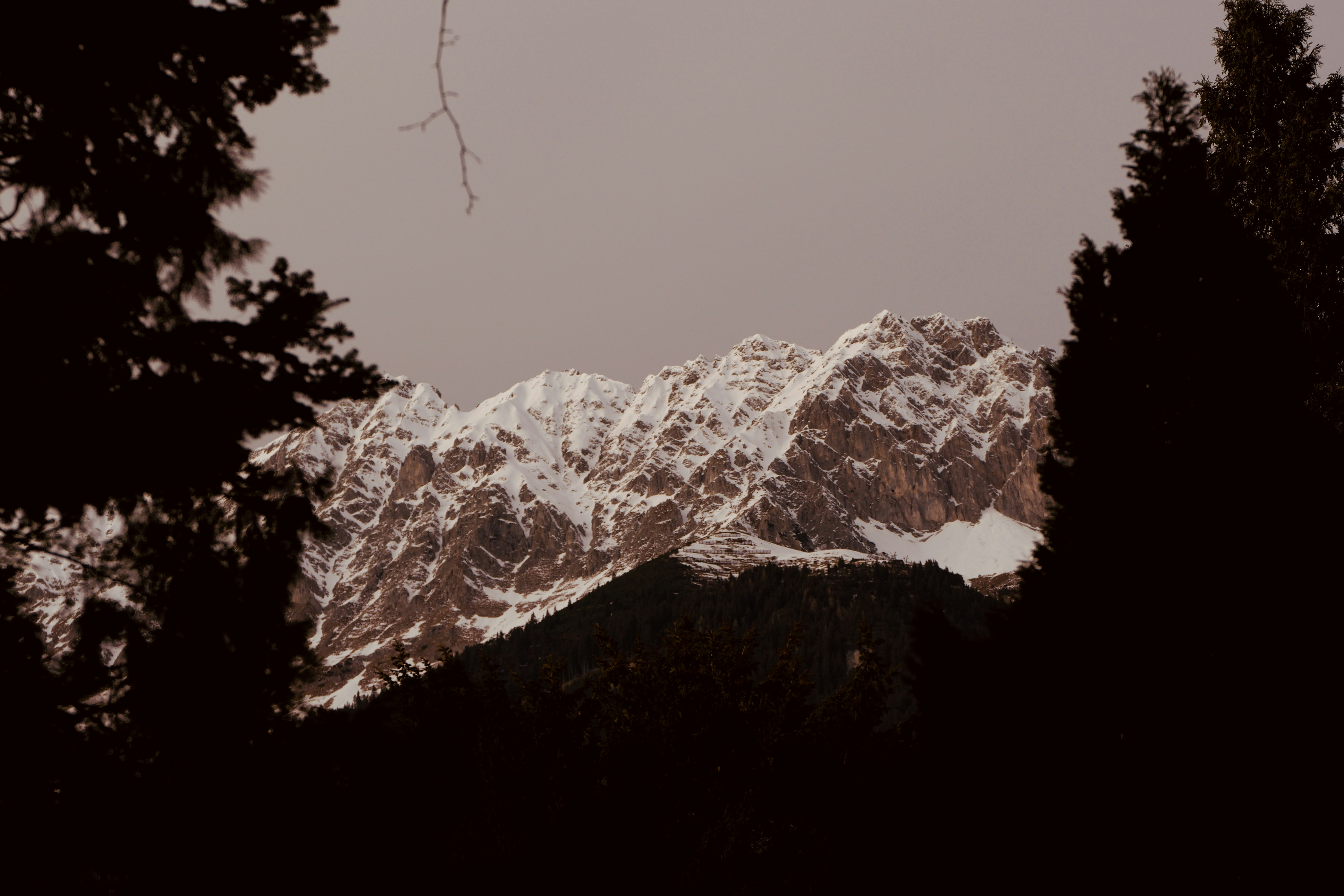 Snowbound Ridge Emerging Through Dark Forest