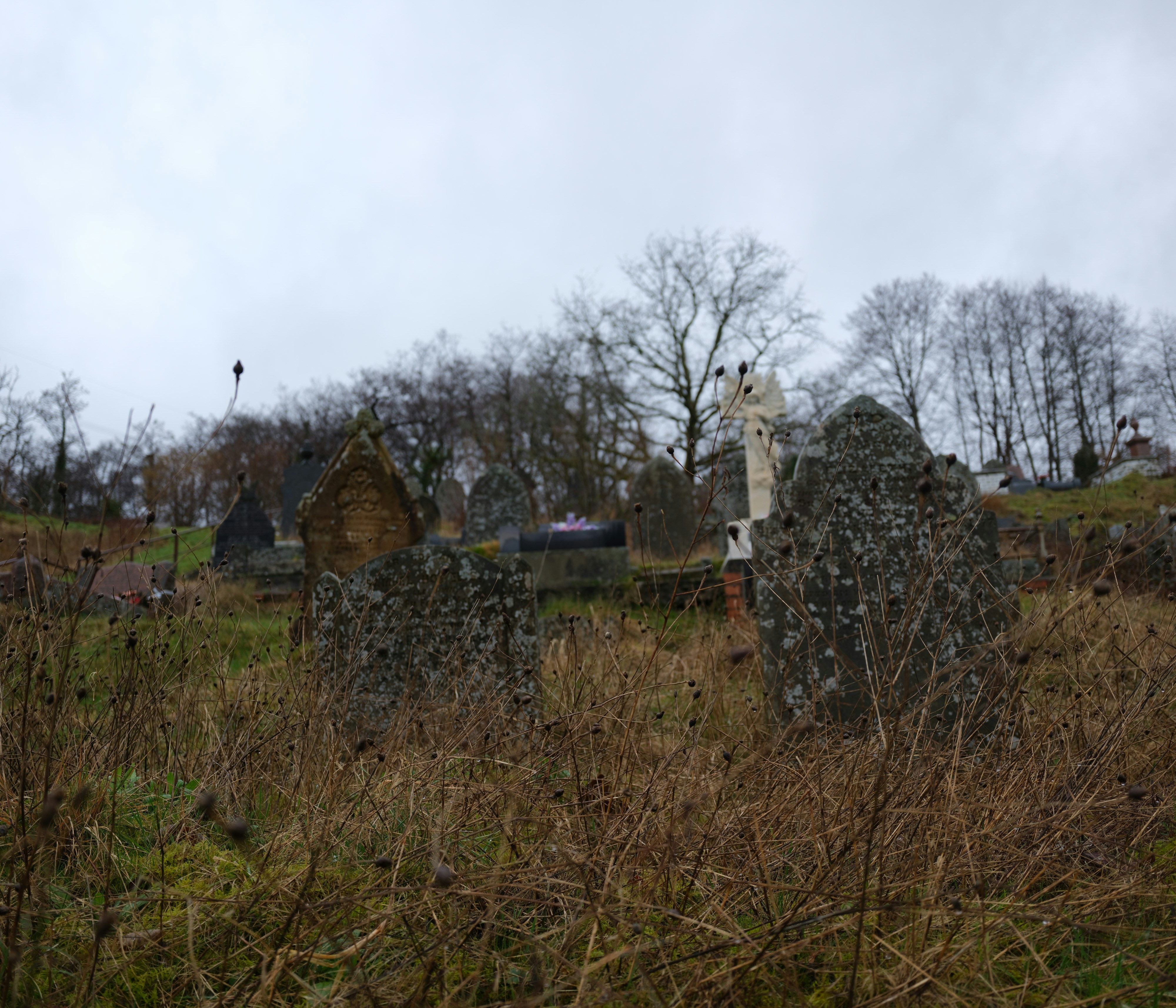 Winter Stillness Over the Old Cemetery