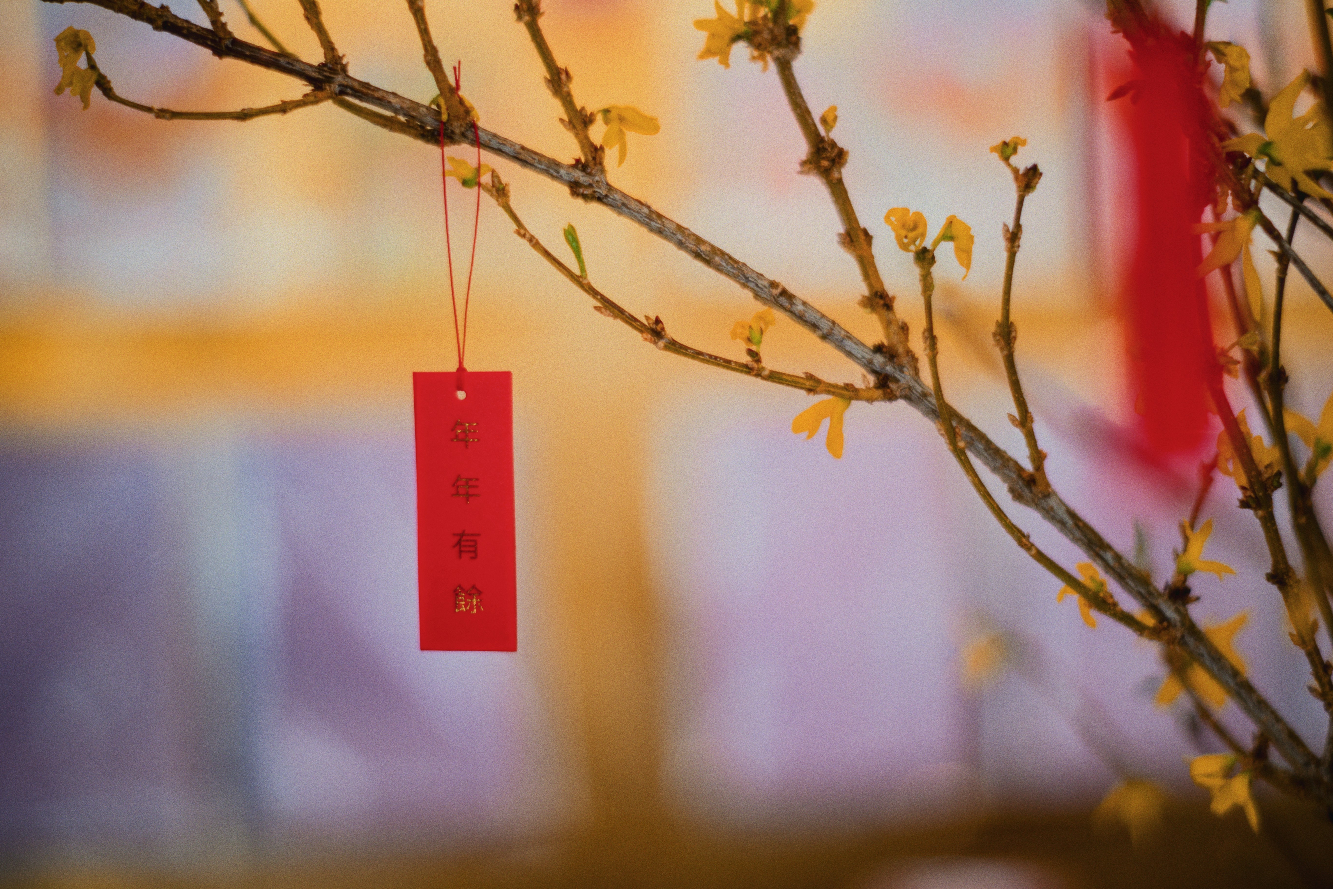 Red New Year Charm Hanging from Spring Branch