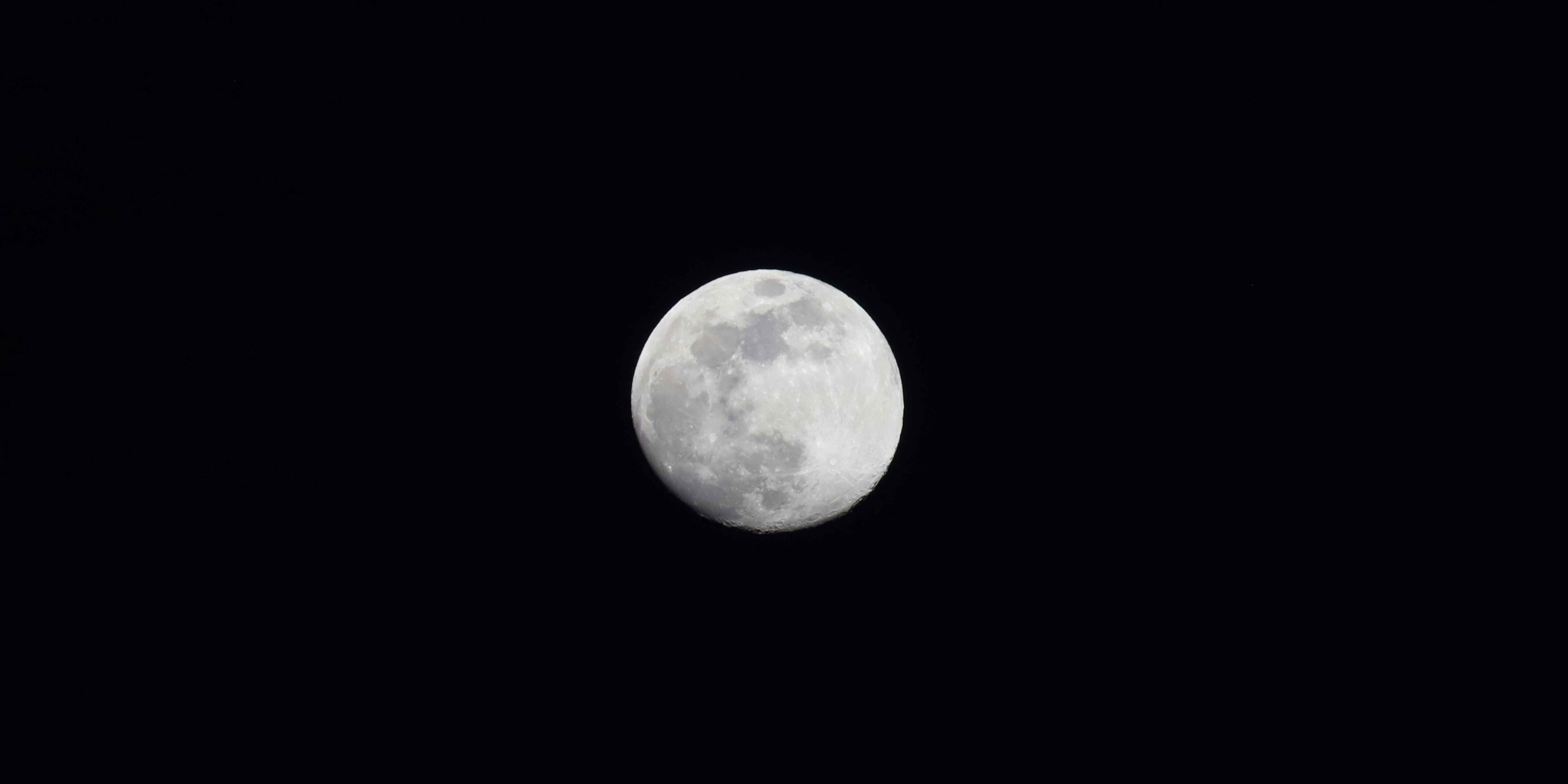 Moonlit Quarter: A Crisp Crescent in a Velvet Sky