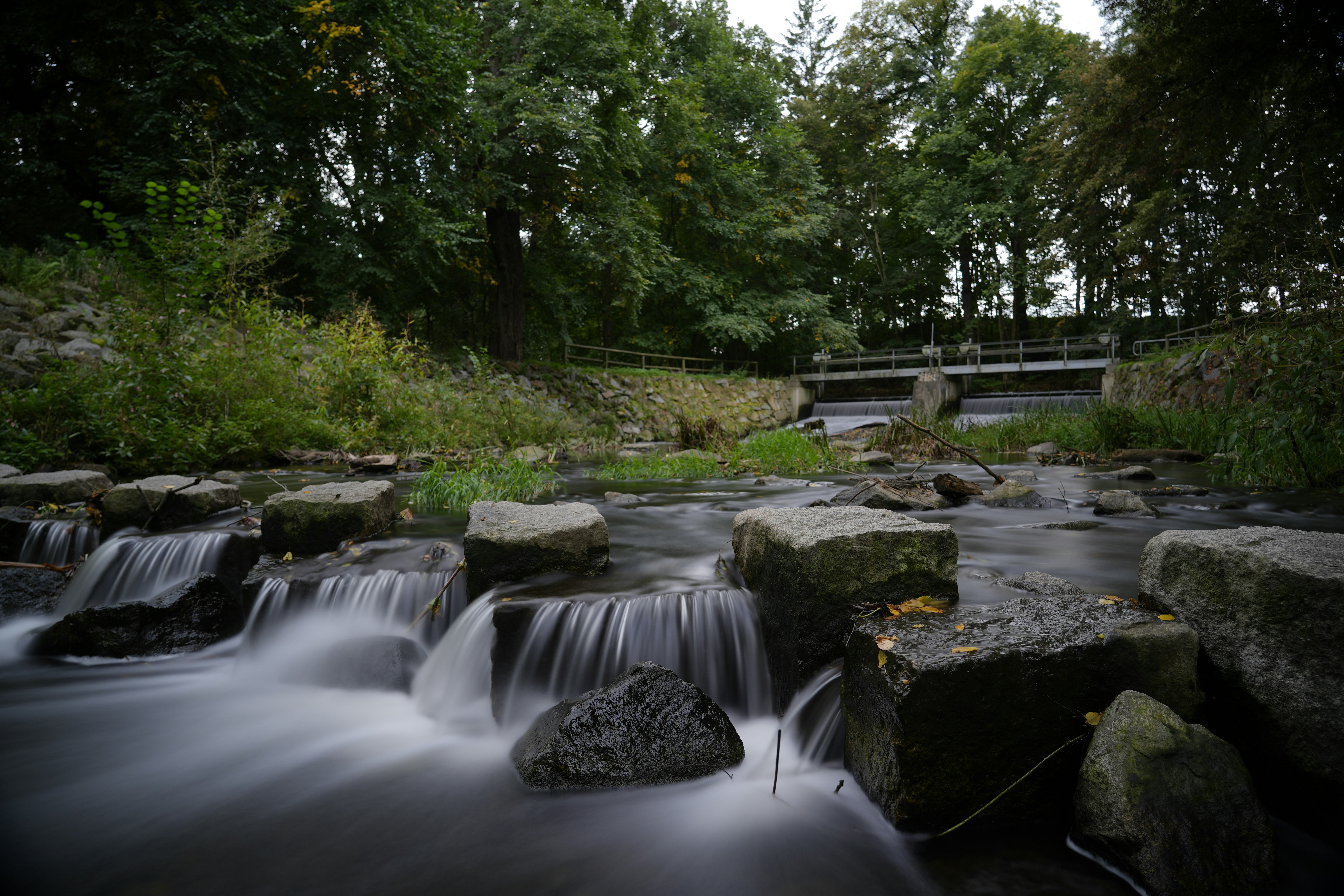 Storm of Water Over Stone: A Quiet Creek under a Wooden Bridge
