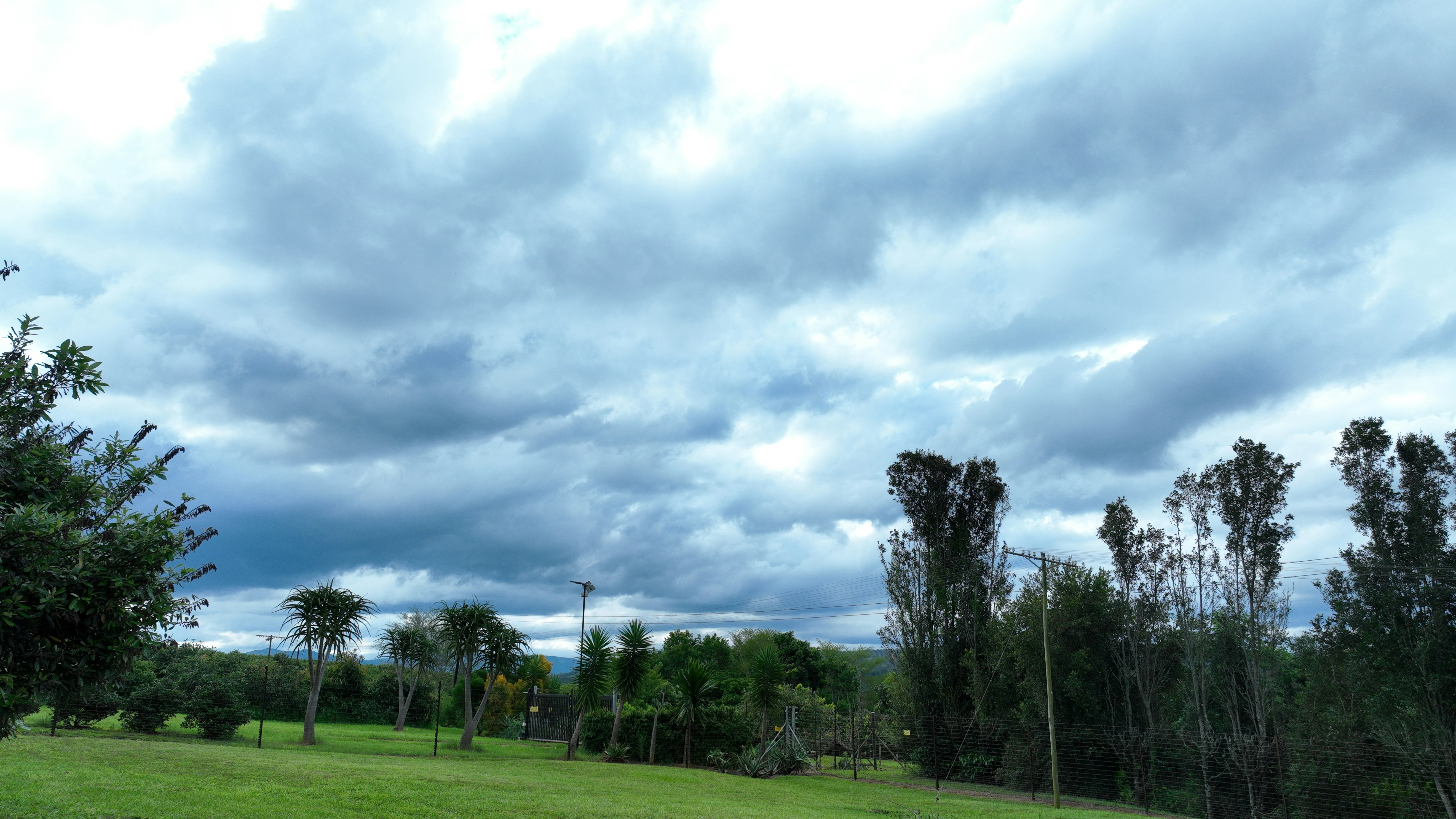 Overcast Horizon Over a Quiet Park