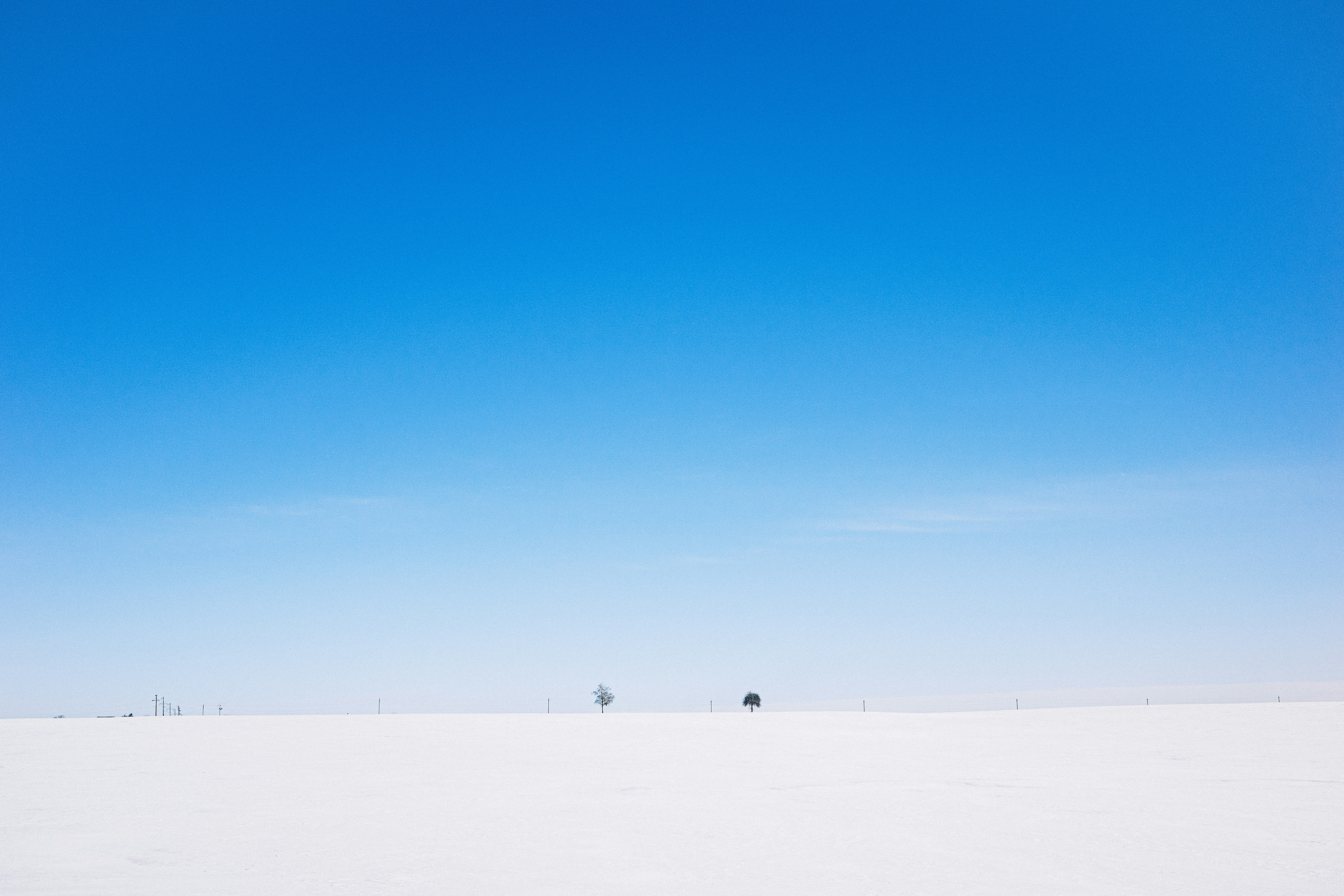 A Luminous Horizon: Iso-Snow Field Under a Cerulean Sky