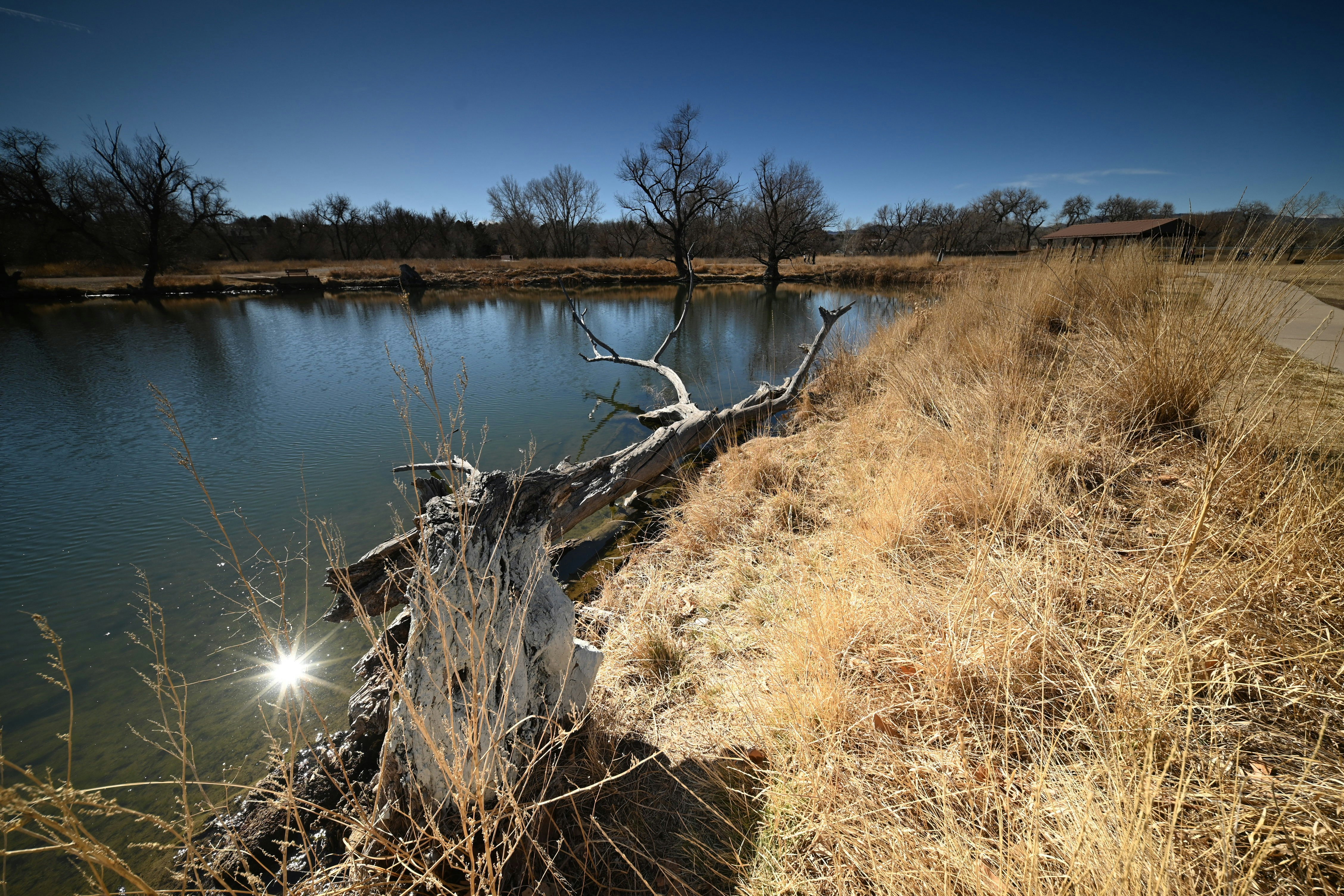 Sunlit Crest: A Riverside Tranquility