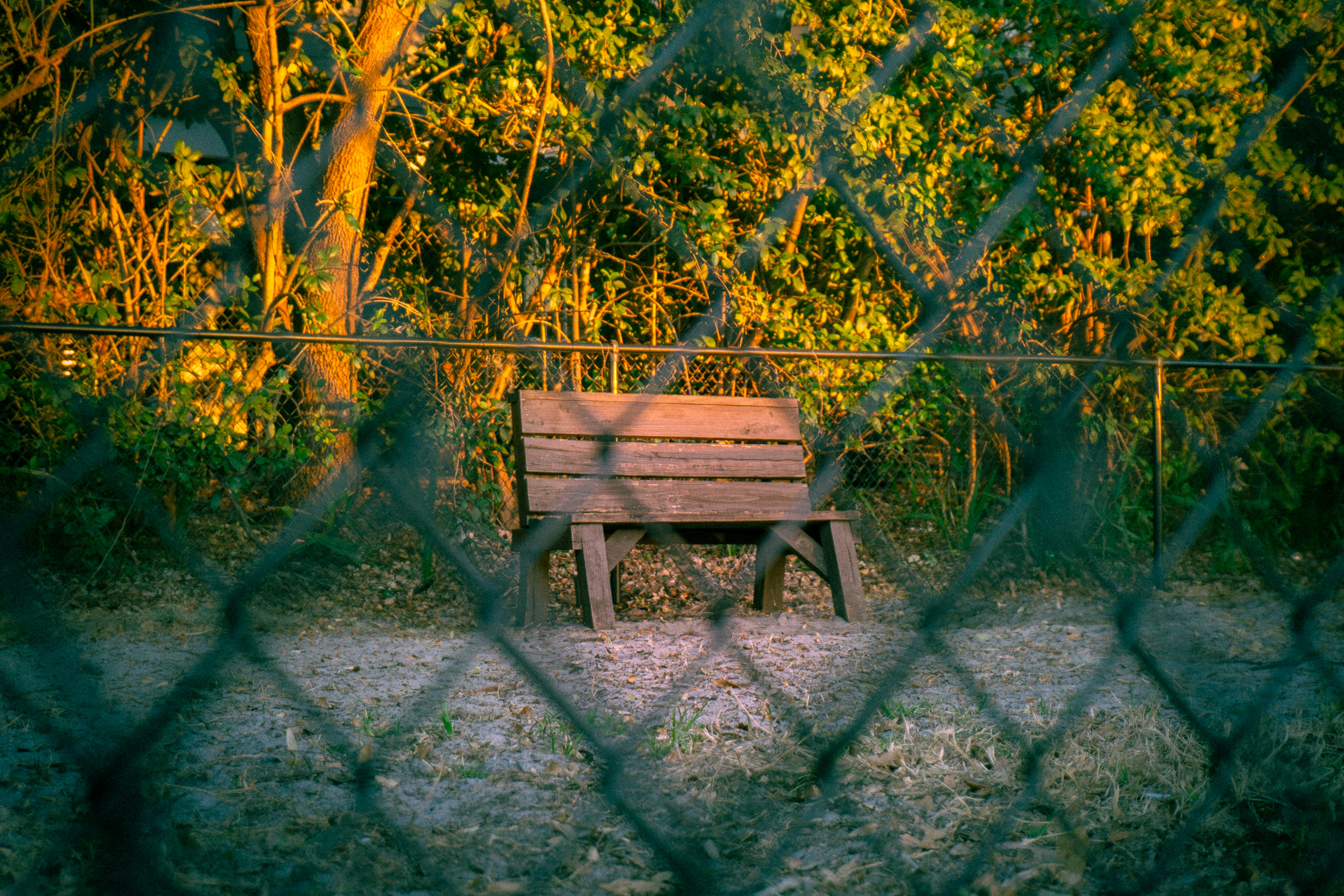 Lonely Bench Beyond the Fence