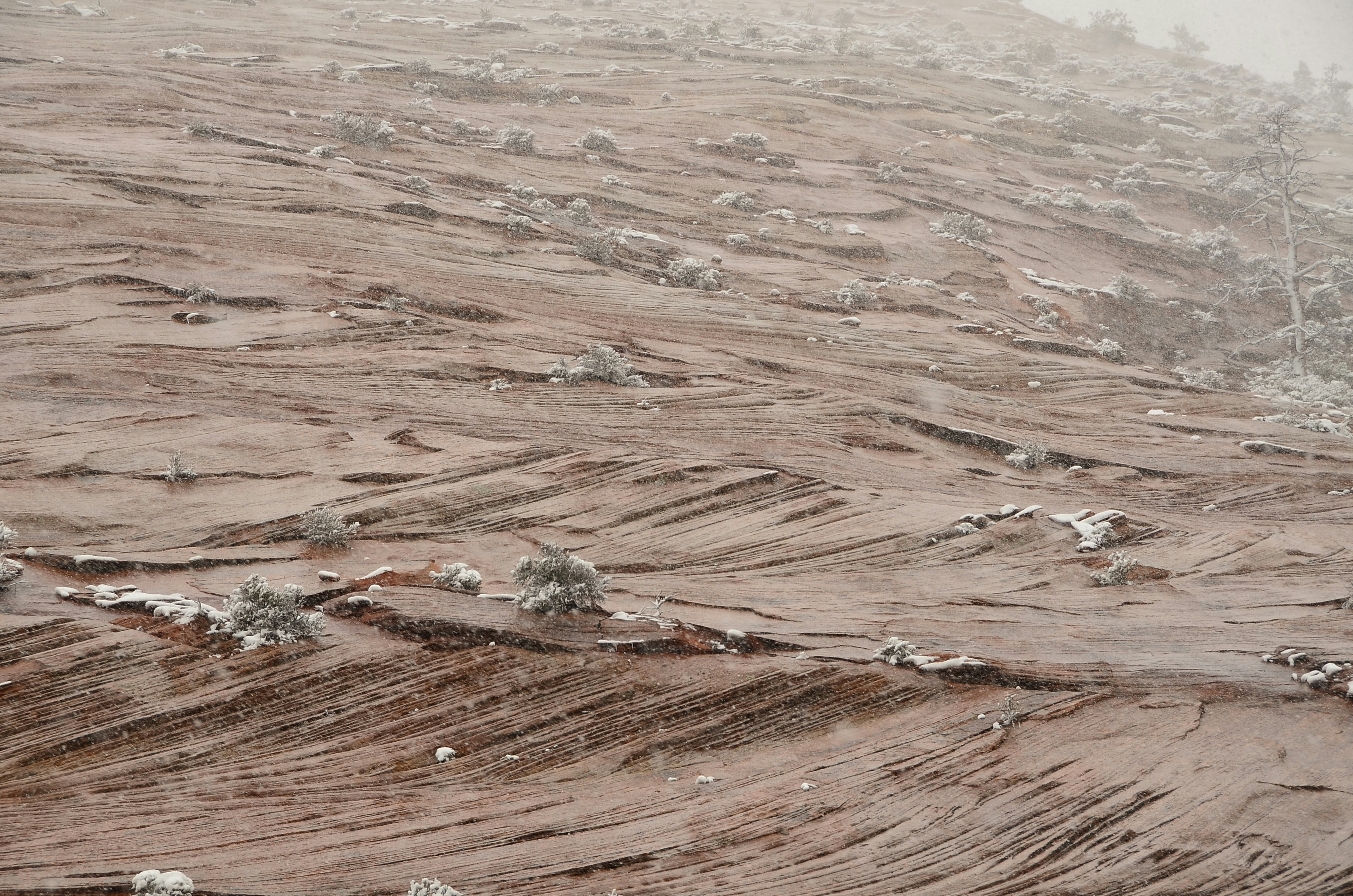 Eroded Slope Echoes: Ridges of Red Sediment
